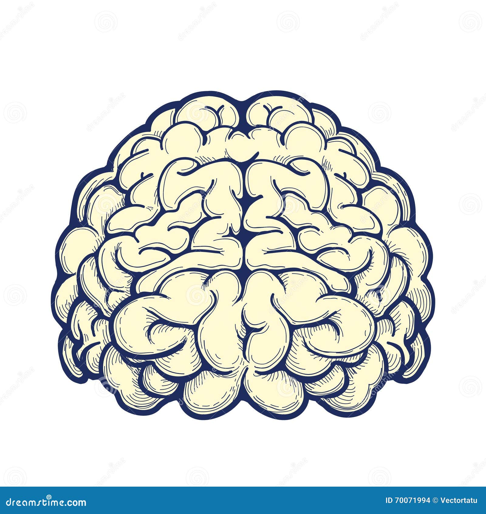 Human Brain Hand Drawn Icon Stock Vector - Illustration of mental ...