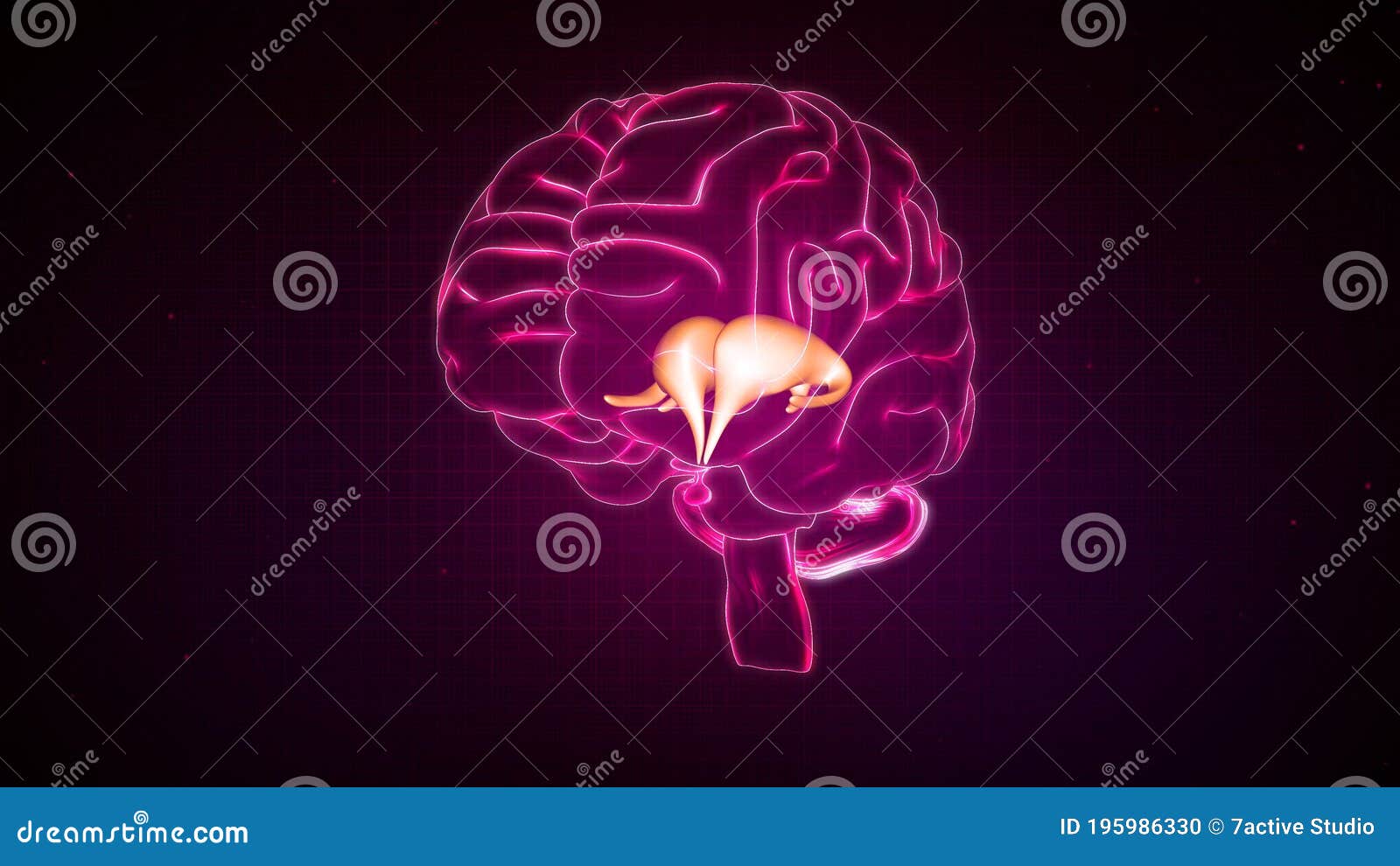 Parts of Brain with Human Body Stock Illustration - Illustration of ...