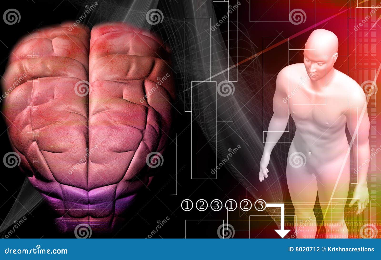 Human Brain with Human Body Stock Illustration - Illustration of ...