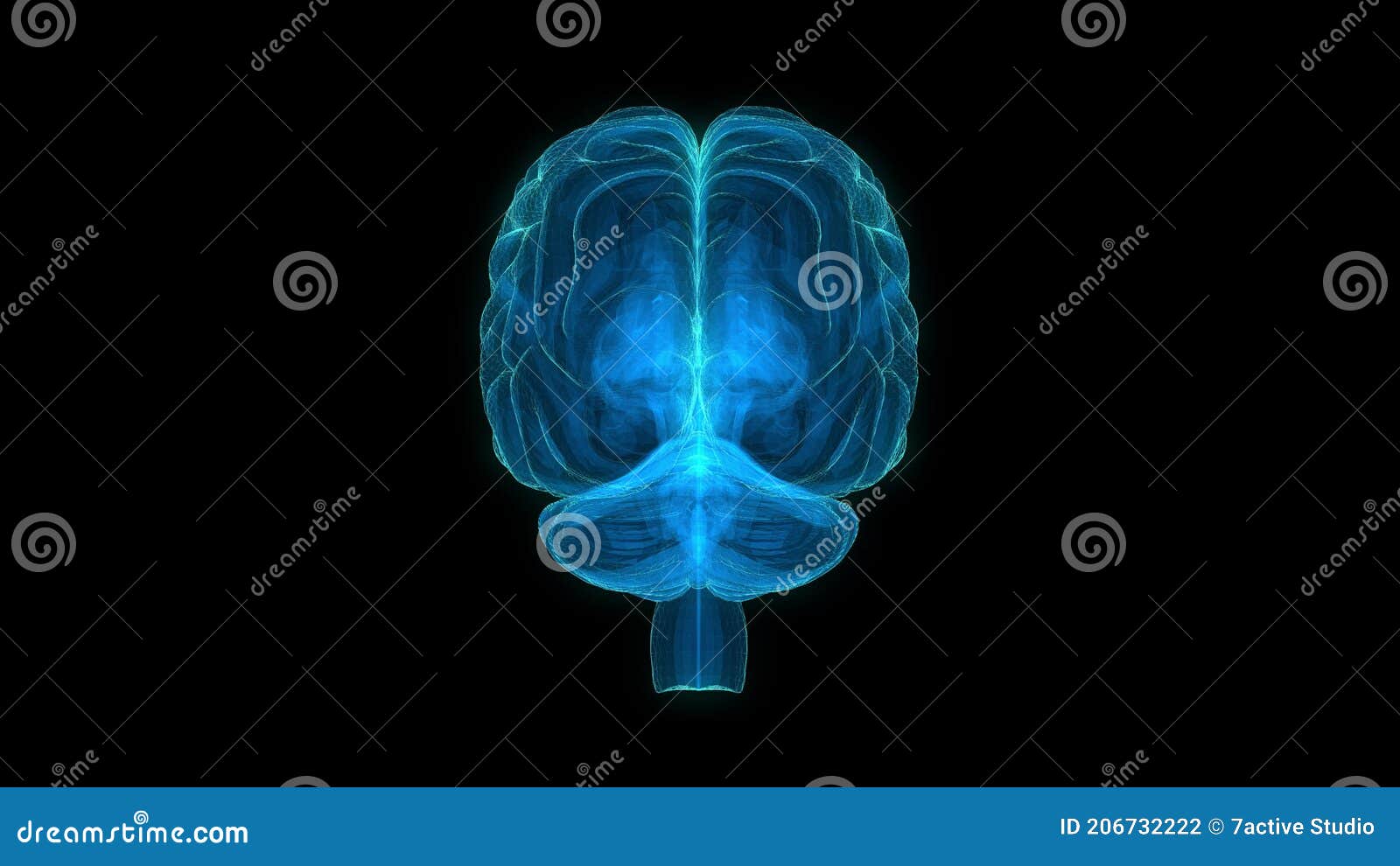 Forebrain Cartoons, Illustrations & Vector Stock Images - 653 Pictures ...