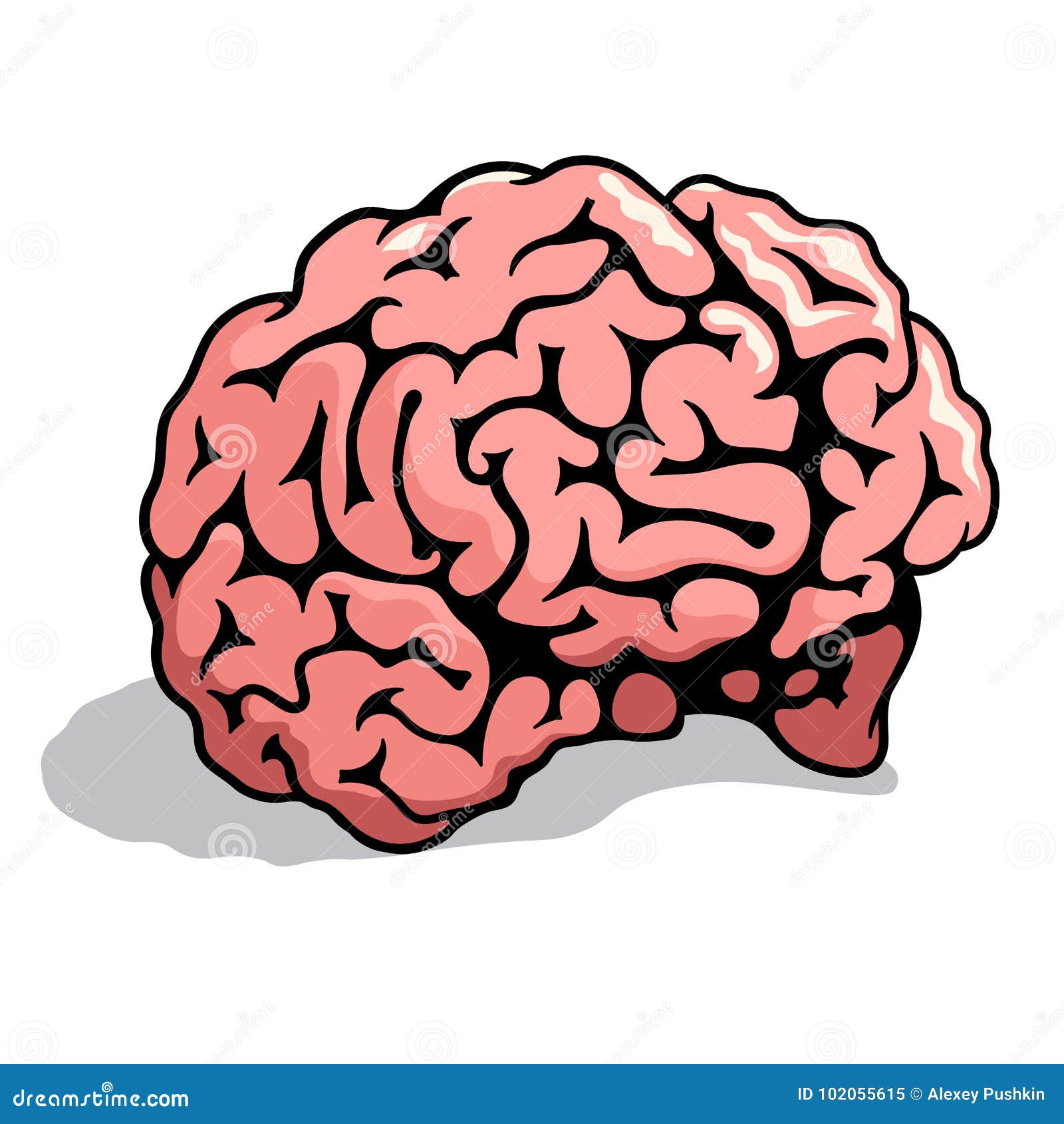 Brain. Realistic Hand-drawn Icon Of Human Internal Organs. Line Art ...