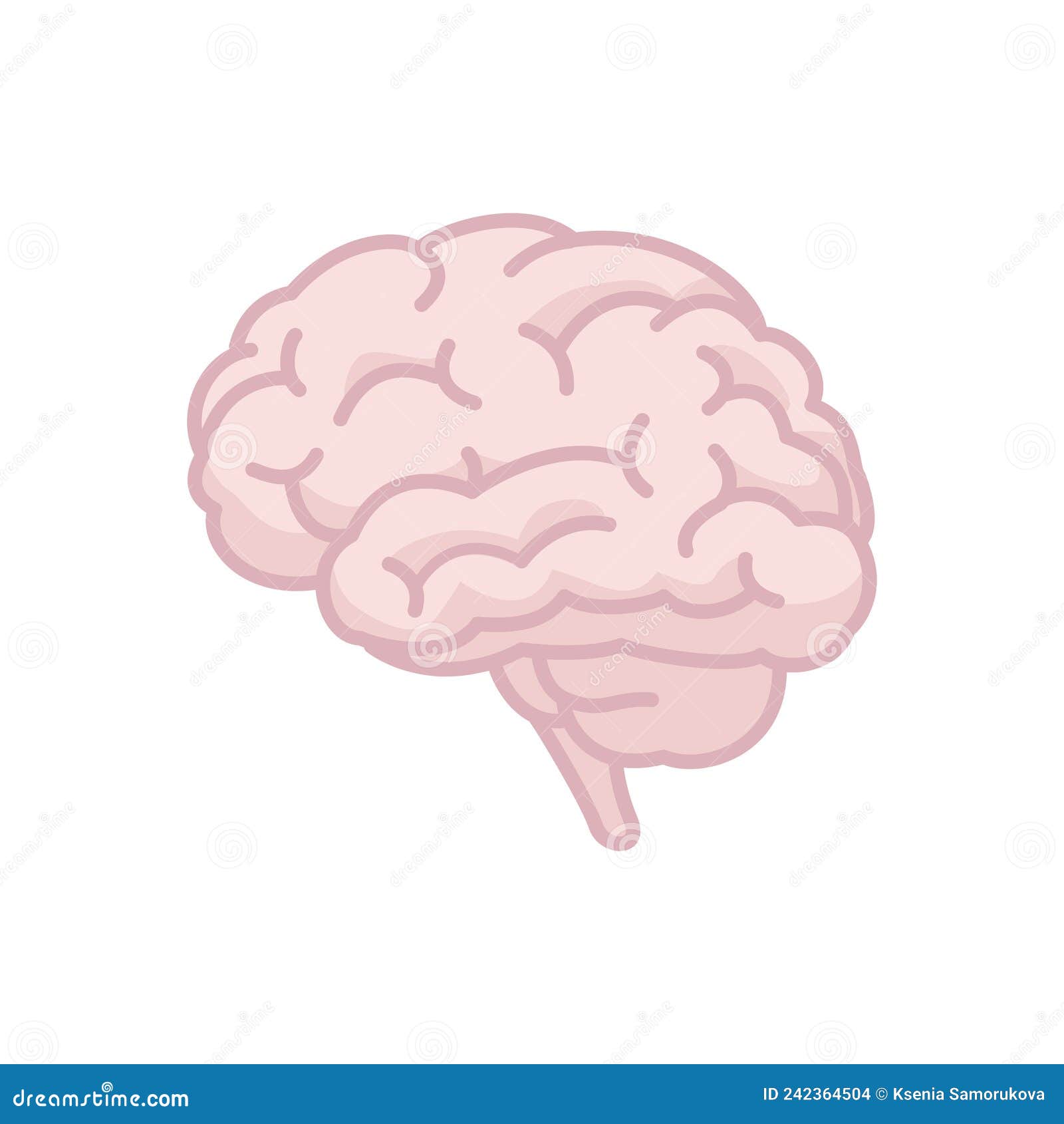 Human Brain Icon. Mind Symbol Stock Vector - Illustration of isolated ...