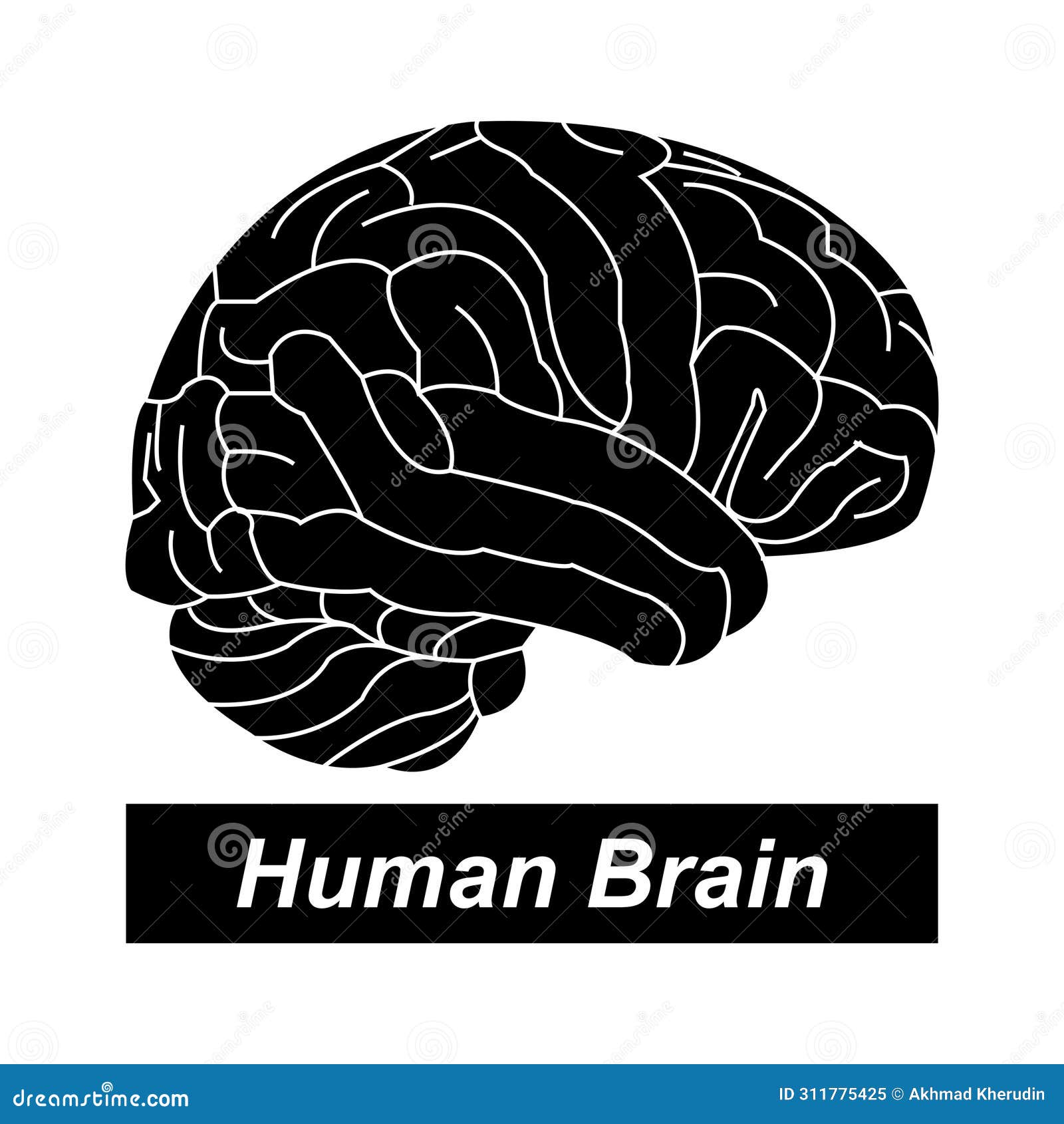 Human brain icon stock vector. Illustration of intellect - 311775425