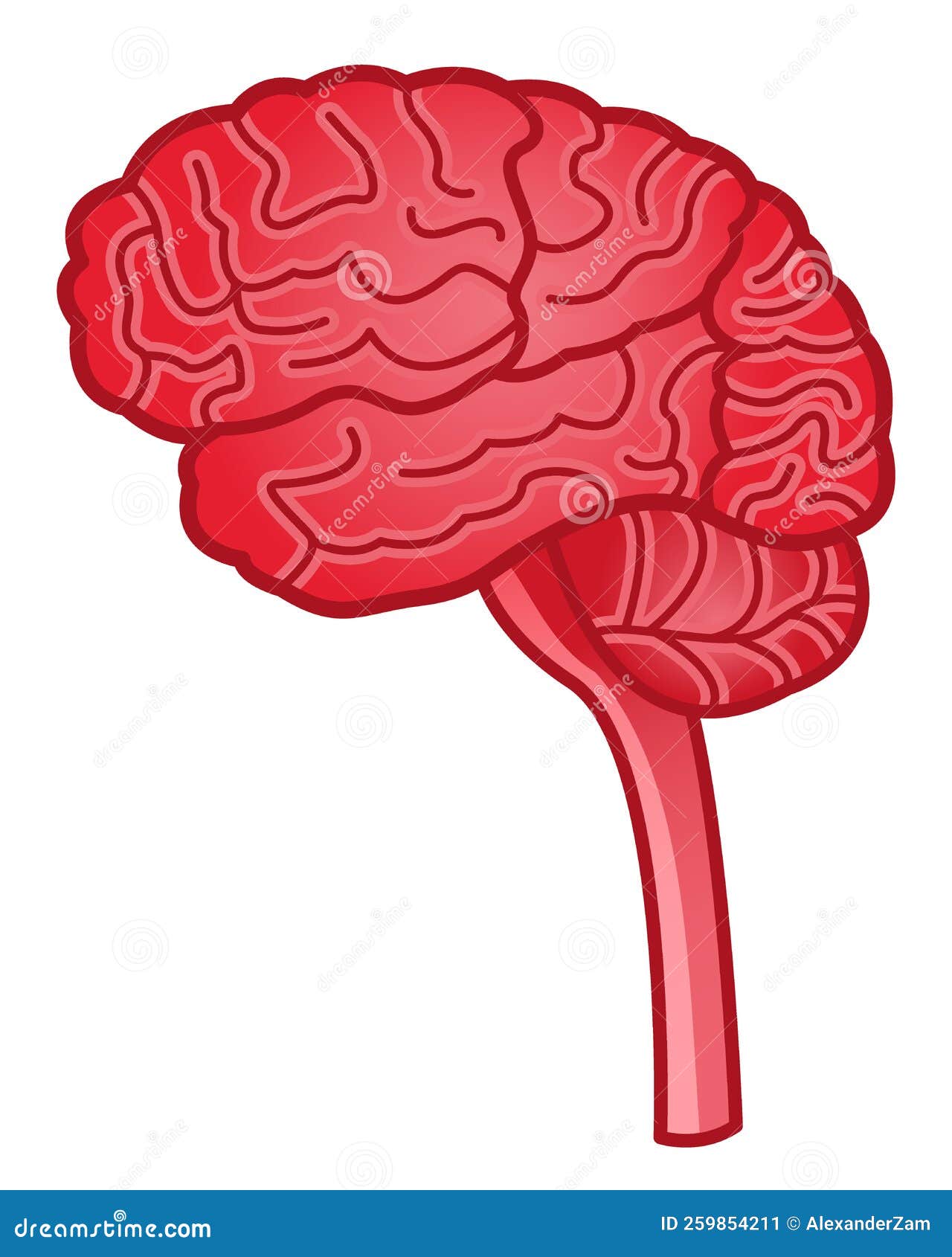 Human brain icon stock vector. Illustration of system - 259854211
