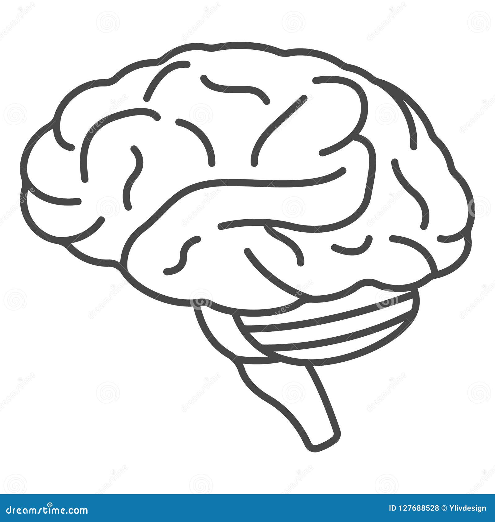 Human Brain Icon, Outline Style Stock Vector - Illustration of genius ...