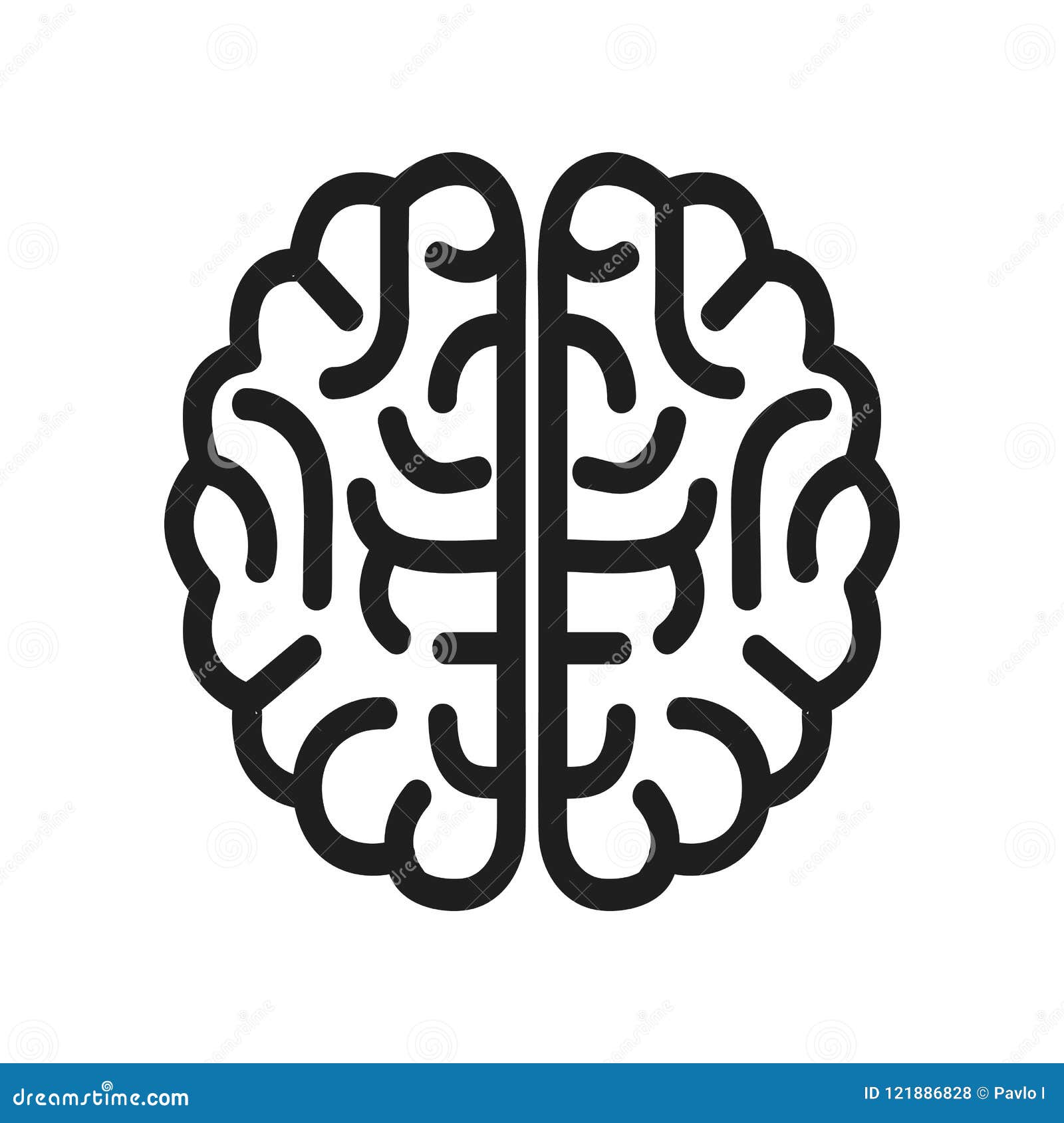 Vector Brain Infographic. Template For Human Head Diagram, Knowledge ...