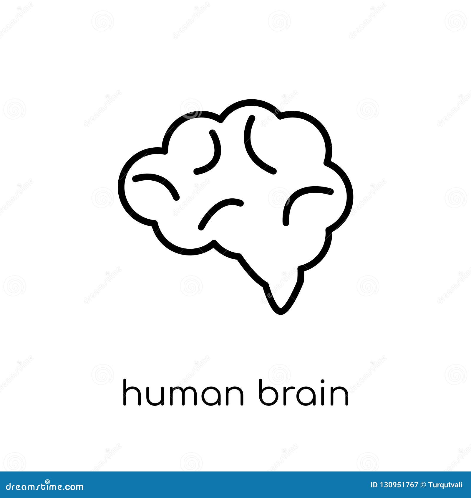 Human Brain Icon. Trendy Modern Flat Linear Vector Human Brain I Stock ...