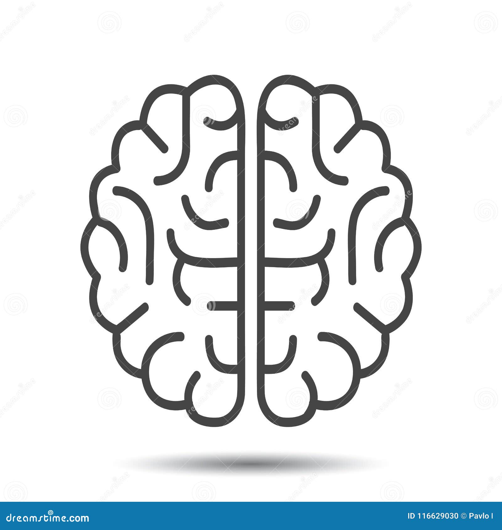 Human brain icon - vector stock vector. Illustration of design - 116629030