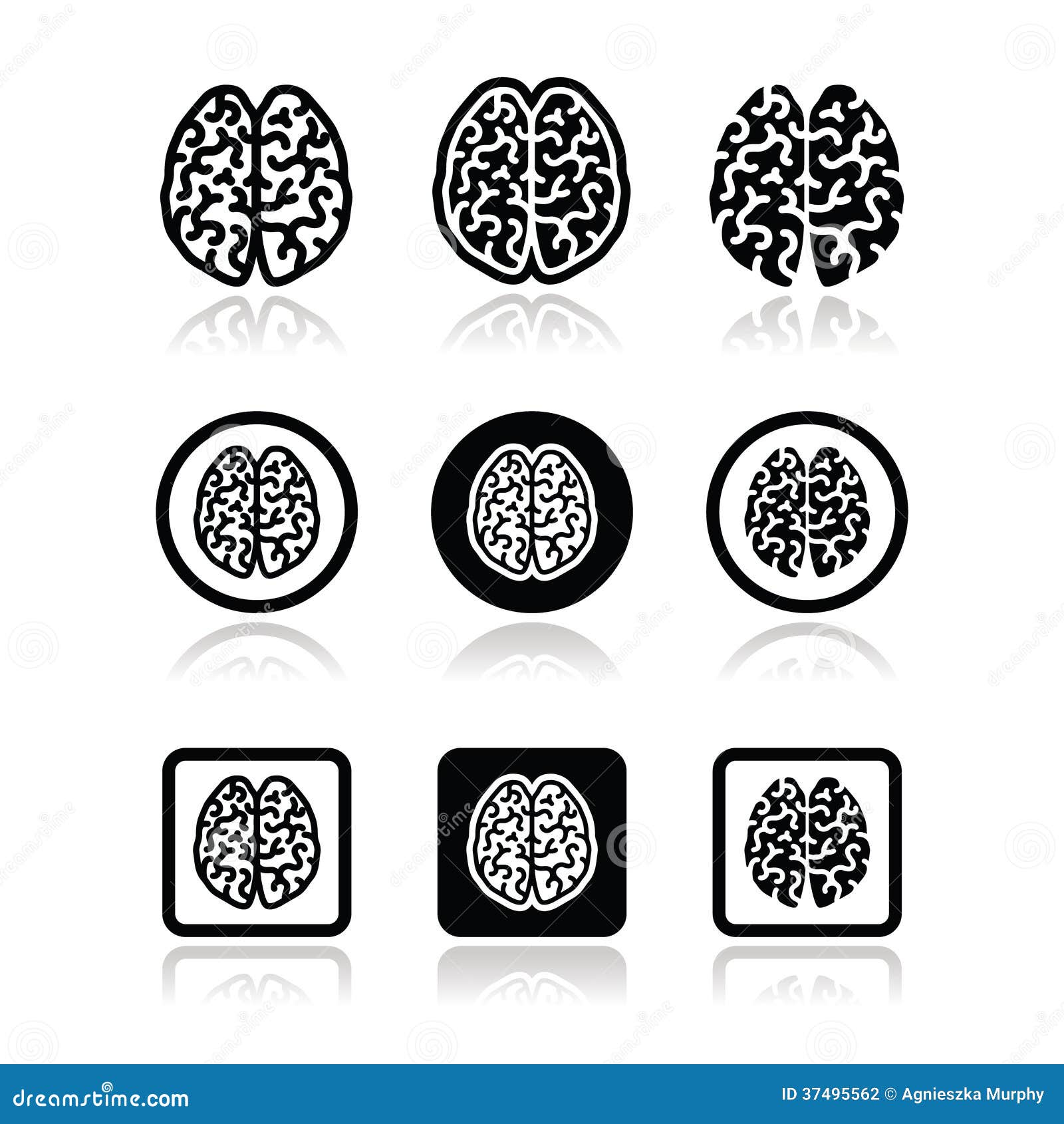 Human Brain Icons Set - Intelligence, Creativity Concept Stock ...