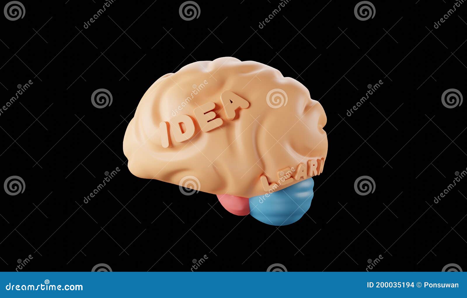Human Brain Idea Model 3d Render Stock Illustration - Illustration of ...