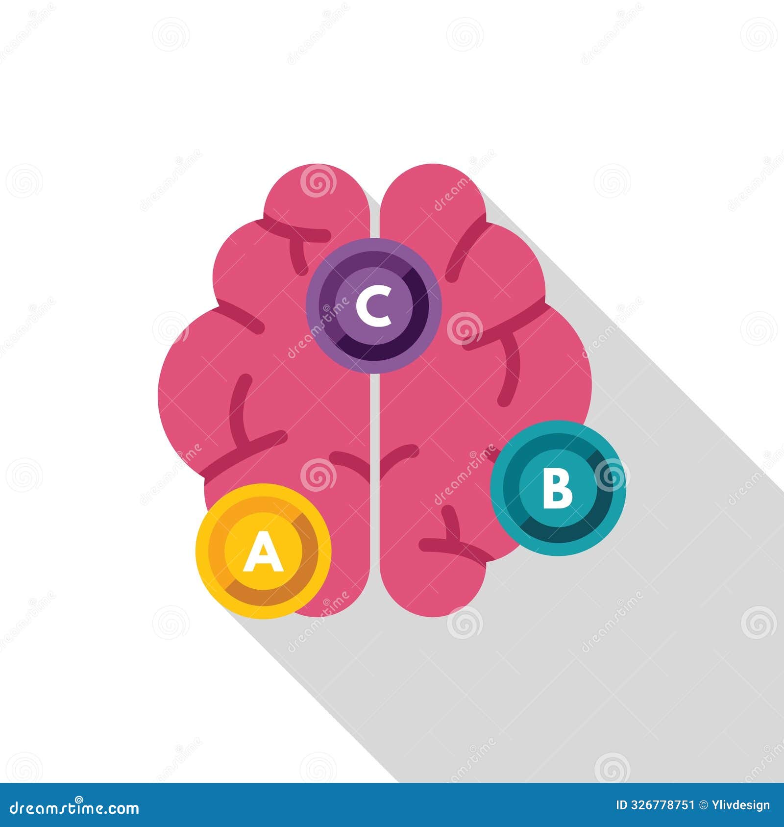 Human Brain Illustrating the Concept of Learning New Things Stock ...