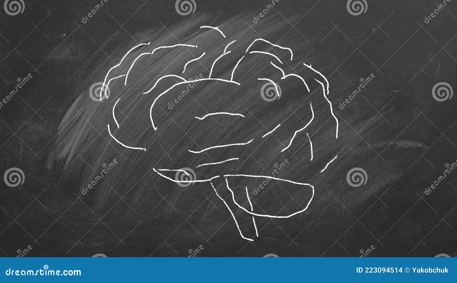 Human Brain. Illustration on Chalkboard Stock Footage - Video of ...