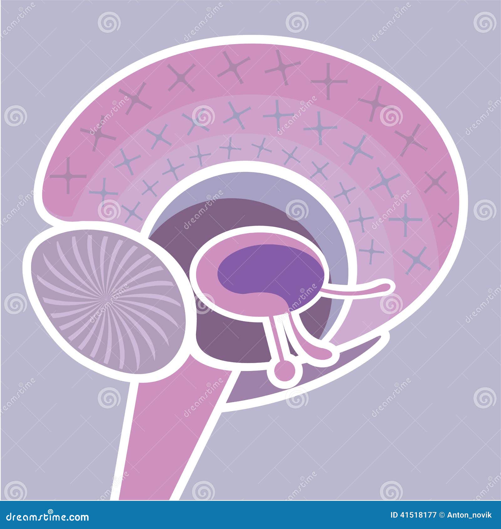 Human Brain stock vector. Illustration of brainy, isolated - 41518177