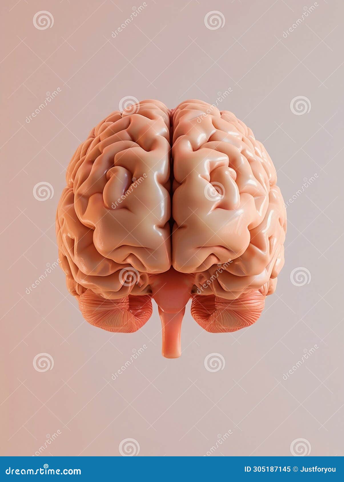 Human Brain Illustration from Various Angles. Generative Ai Stock ...