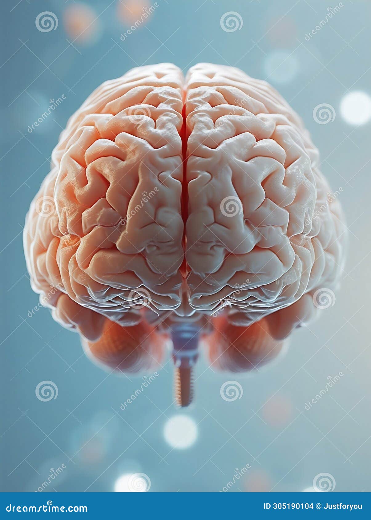 Human Brain Illustration from Various Angles. Generative Ai Stock ...