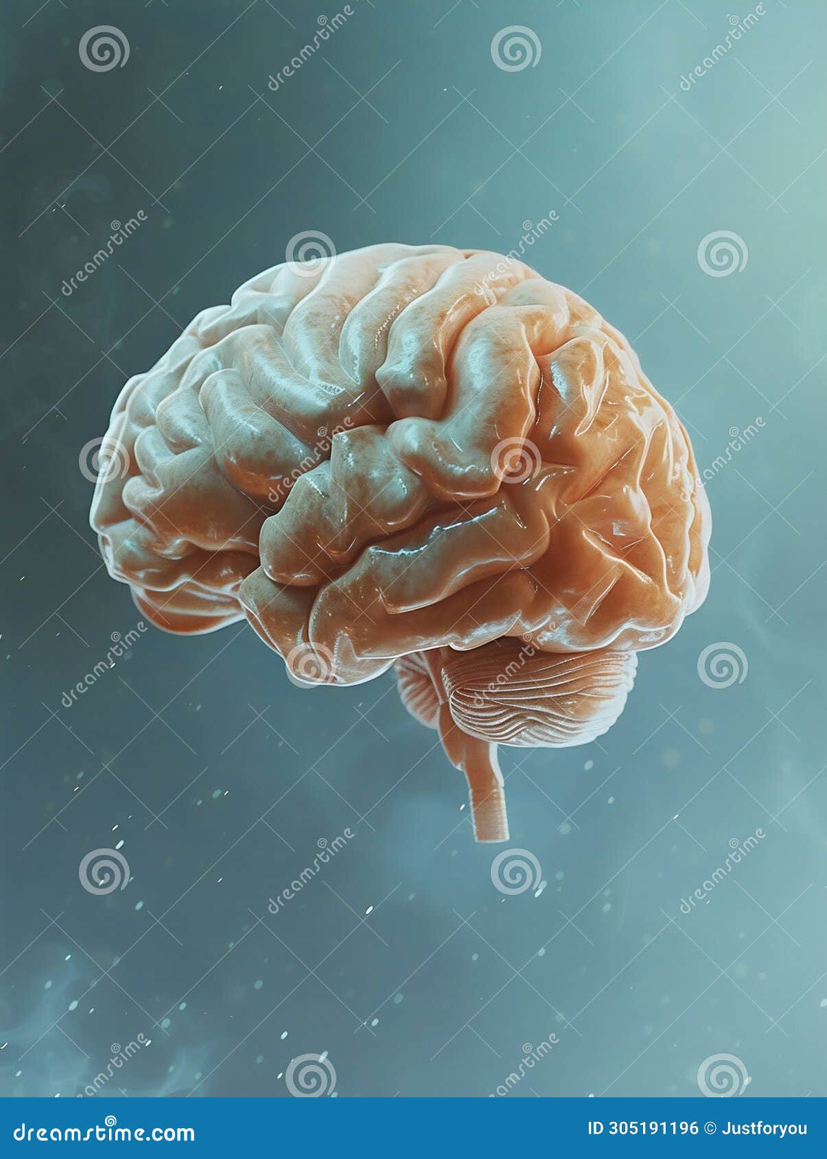 Human Brain Illustration from Various Angles. Generative Ai Stock ...