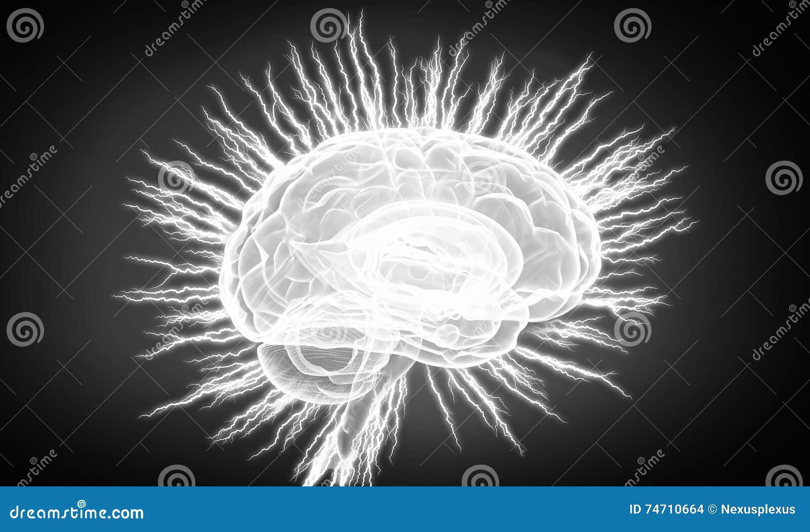 Shiny Brain Royalty-Free Illustration | CartoonDealer.com #75931530