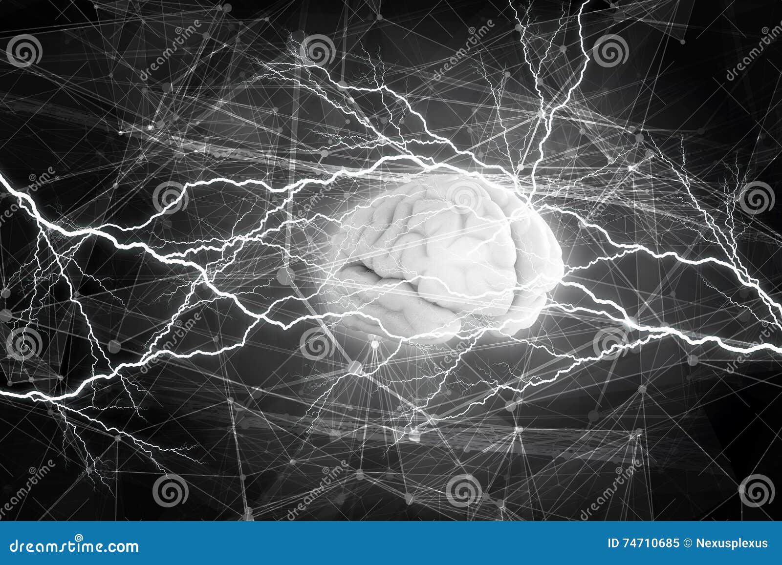 Shiny Brain Royalty-Free Illustration | CartoonDealer.com #75931530