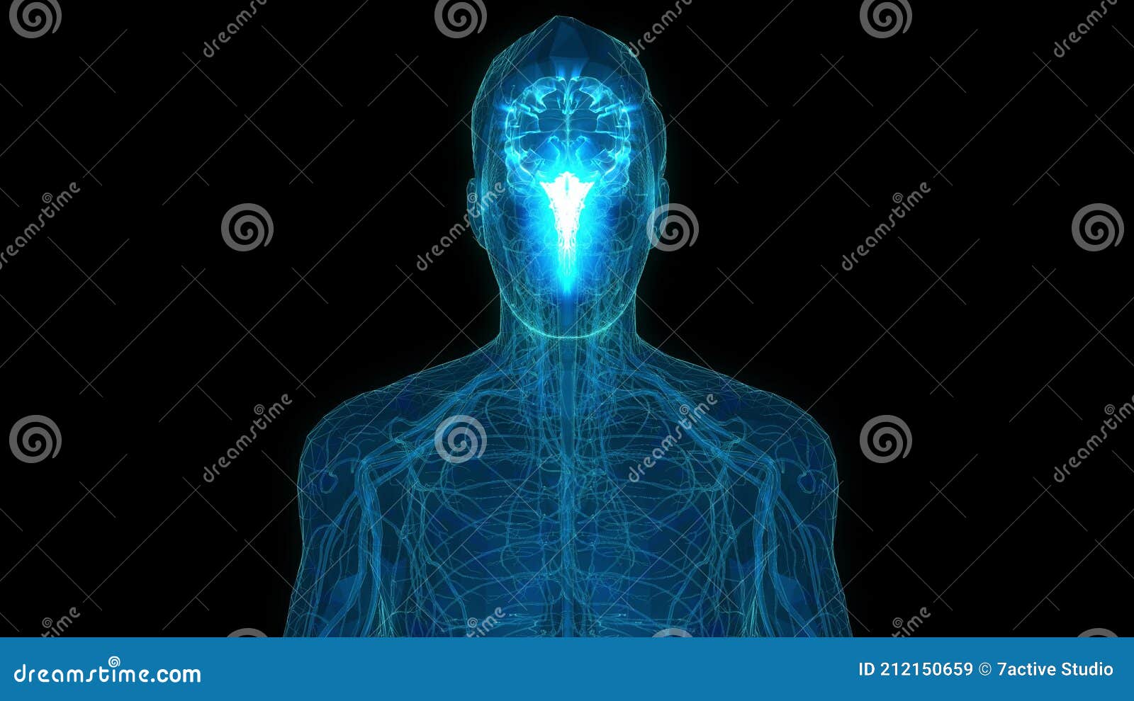 Human Brain with Impulse Receiving and Transmitting Stock Video - Video ...