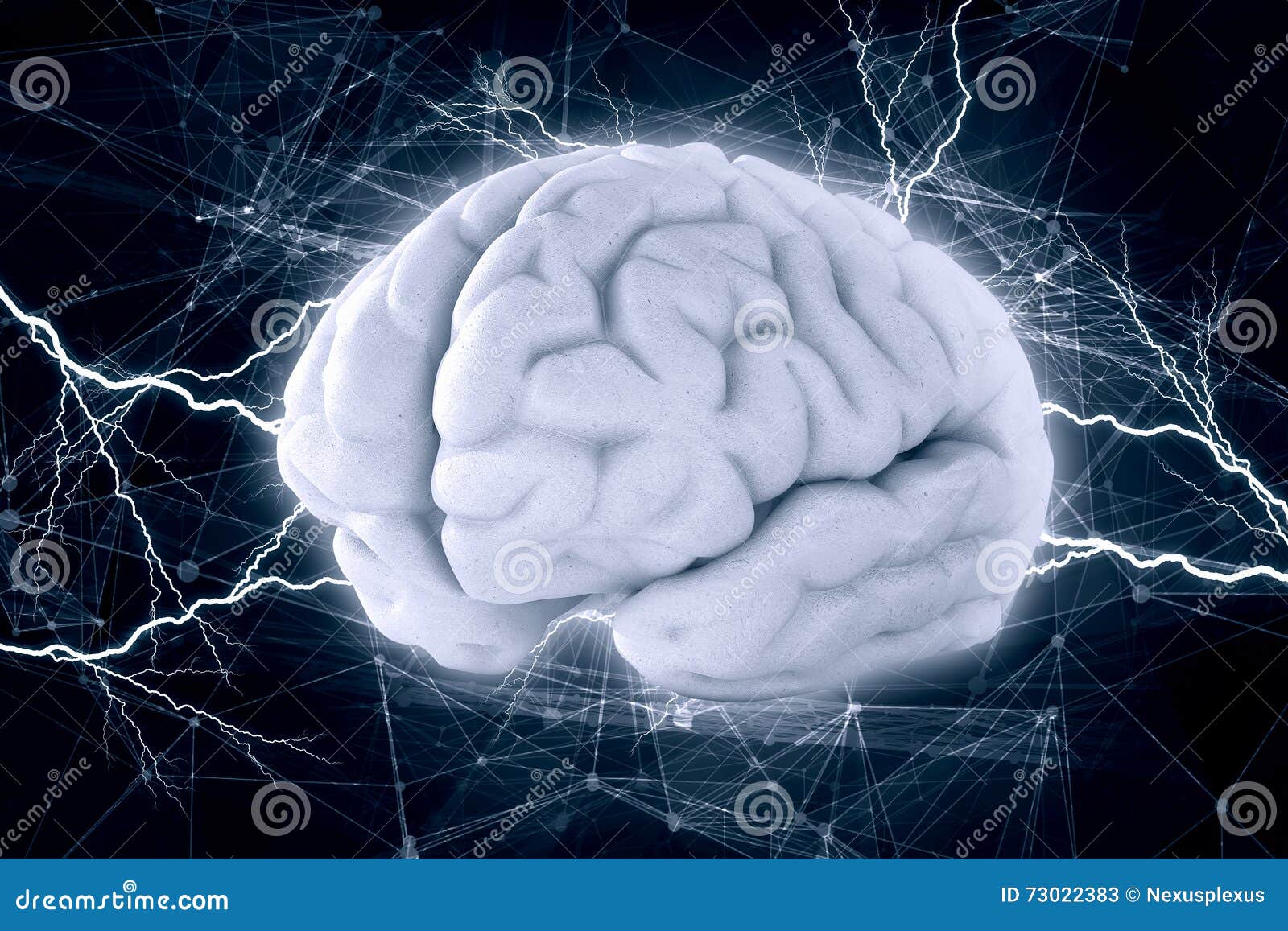 516 Human Brain Impulse Photos - Free & Royalty-Free Stock Photos from ...