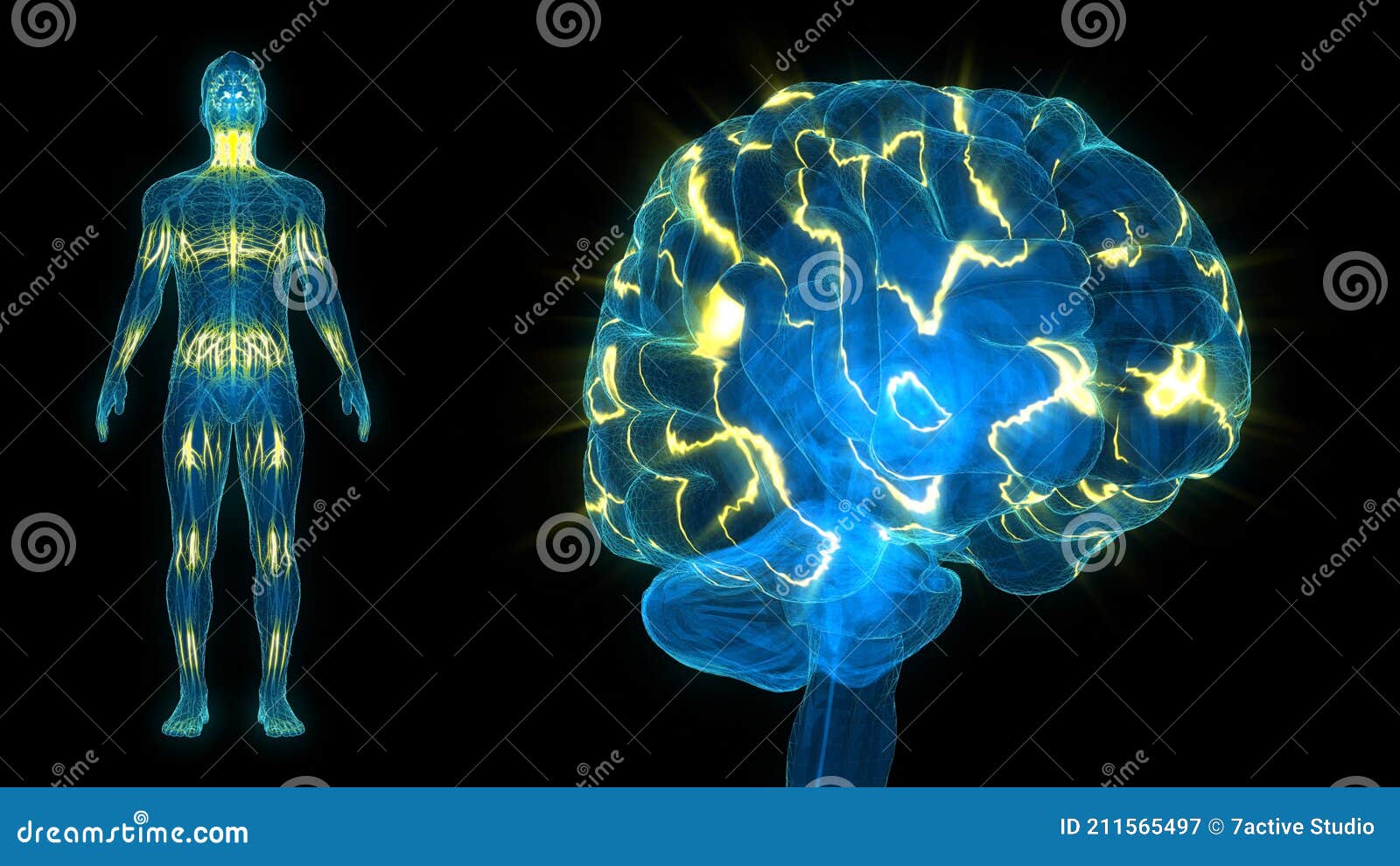 Human Brain with Impulse Transmitting Stock Illustration - Illustration ...