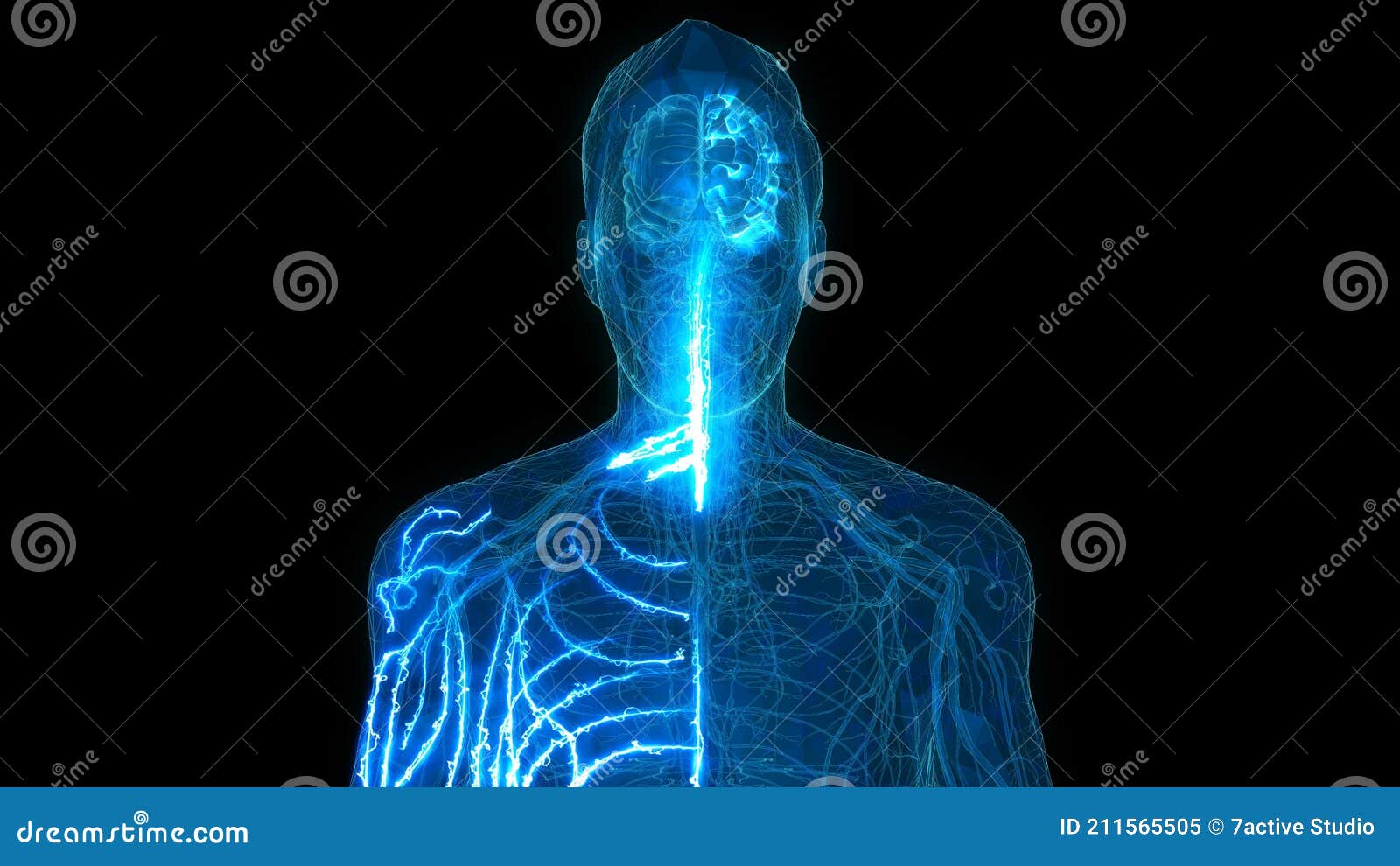 Human Brain with Impulse Transmitting Stock Illustration - Illustration ...