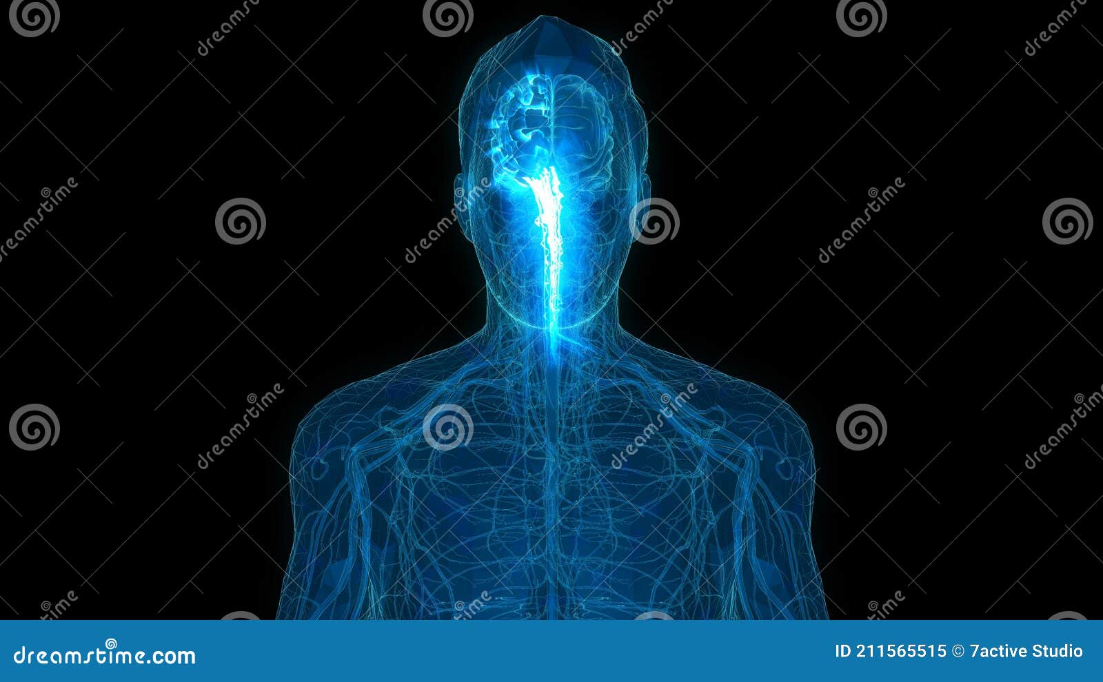 Human Brain with Impulse Transmitting Stock Illustration - Illustration ...