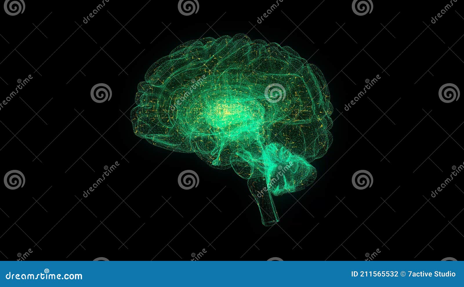 Human Brain with Impulse Transmitting Stock Illustration - Illustration ...