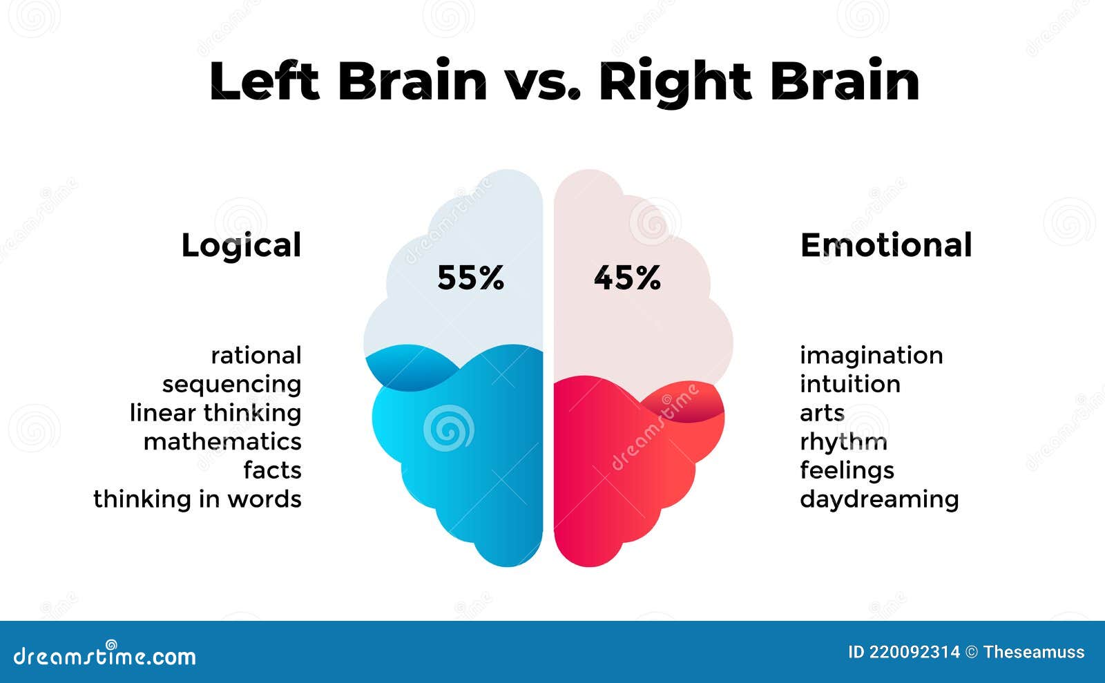 Human Brain Infographic. Left Logical and Right Emotional Hemispheres ...