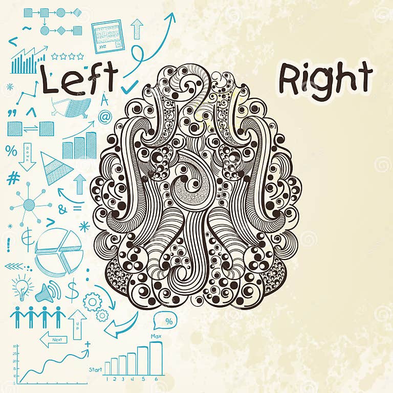 Human Brain Infographic with Left and Right Hemisphere. Stock ...