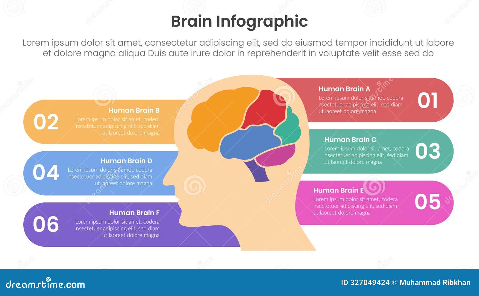 Human Brain Infographic Template Banner with Human Head and Round ...