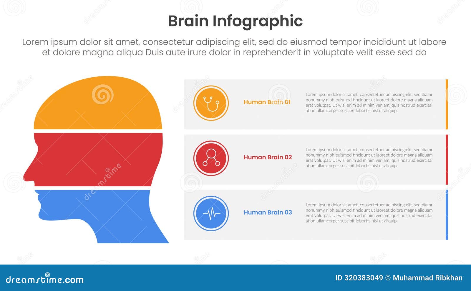 Human Brain Infographic Template Banner with Human Head Slice and ...