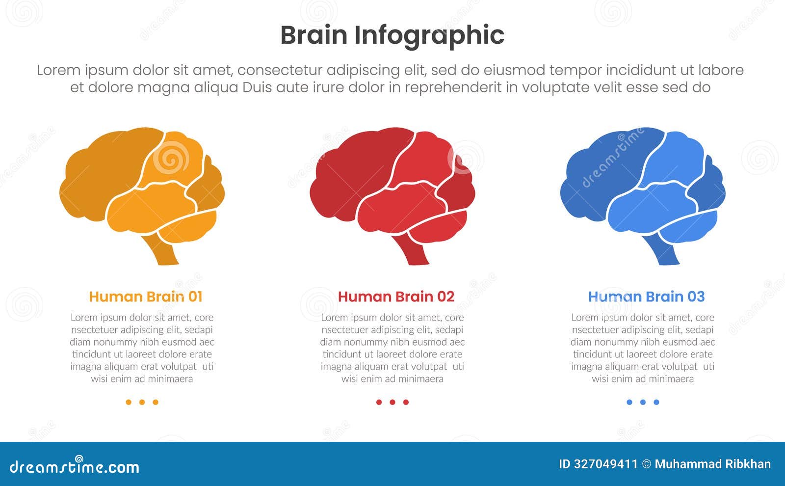 Human Brain Infographic Template Banner with Human Brain Part on ...