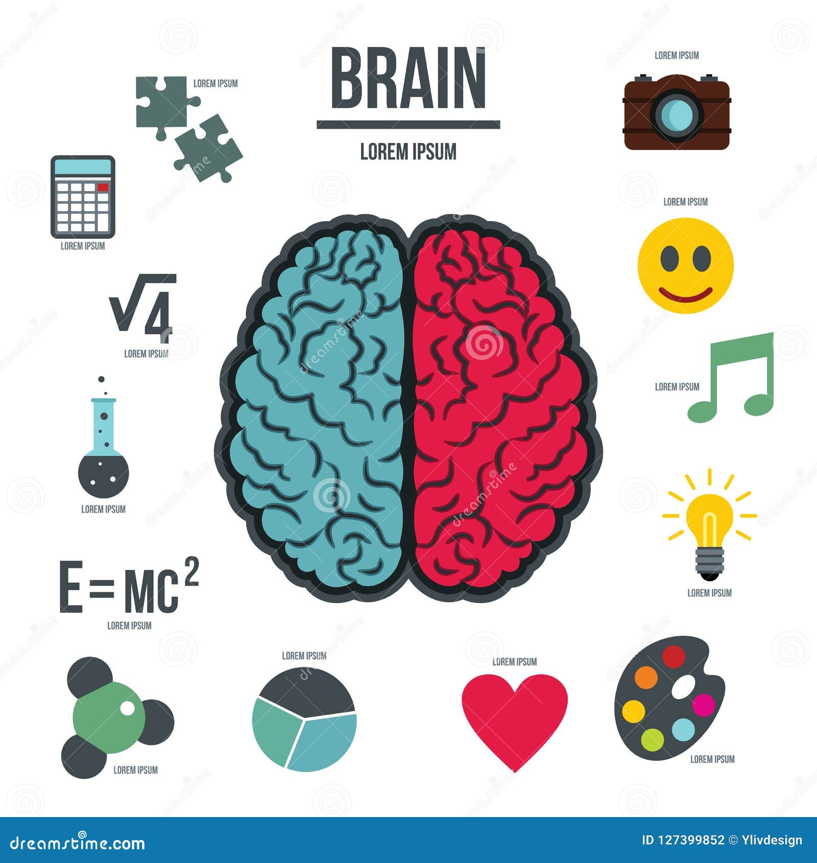 Human Brain Infographics Set, Flat Style Stock Illustration ...