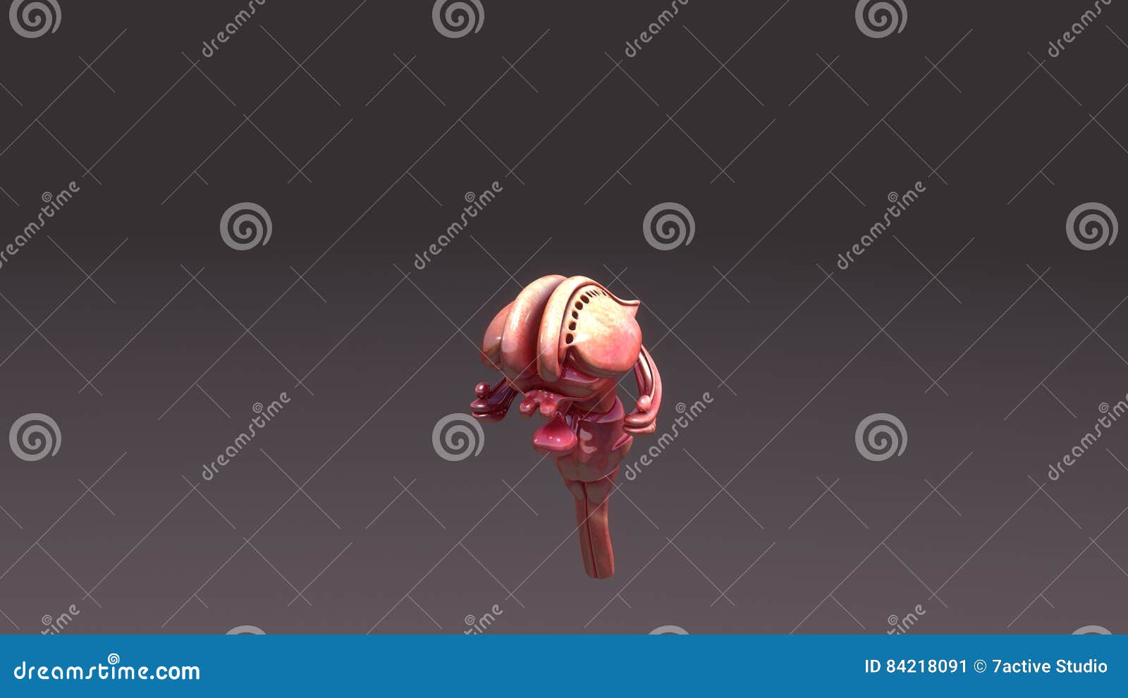 Human Brain Inner Part Aerial View Stock Illustration - Illustration of ...