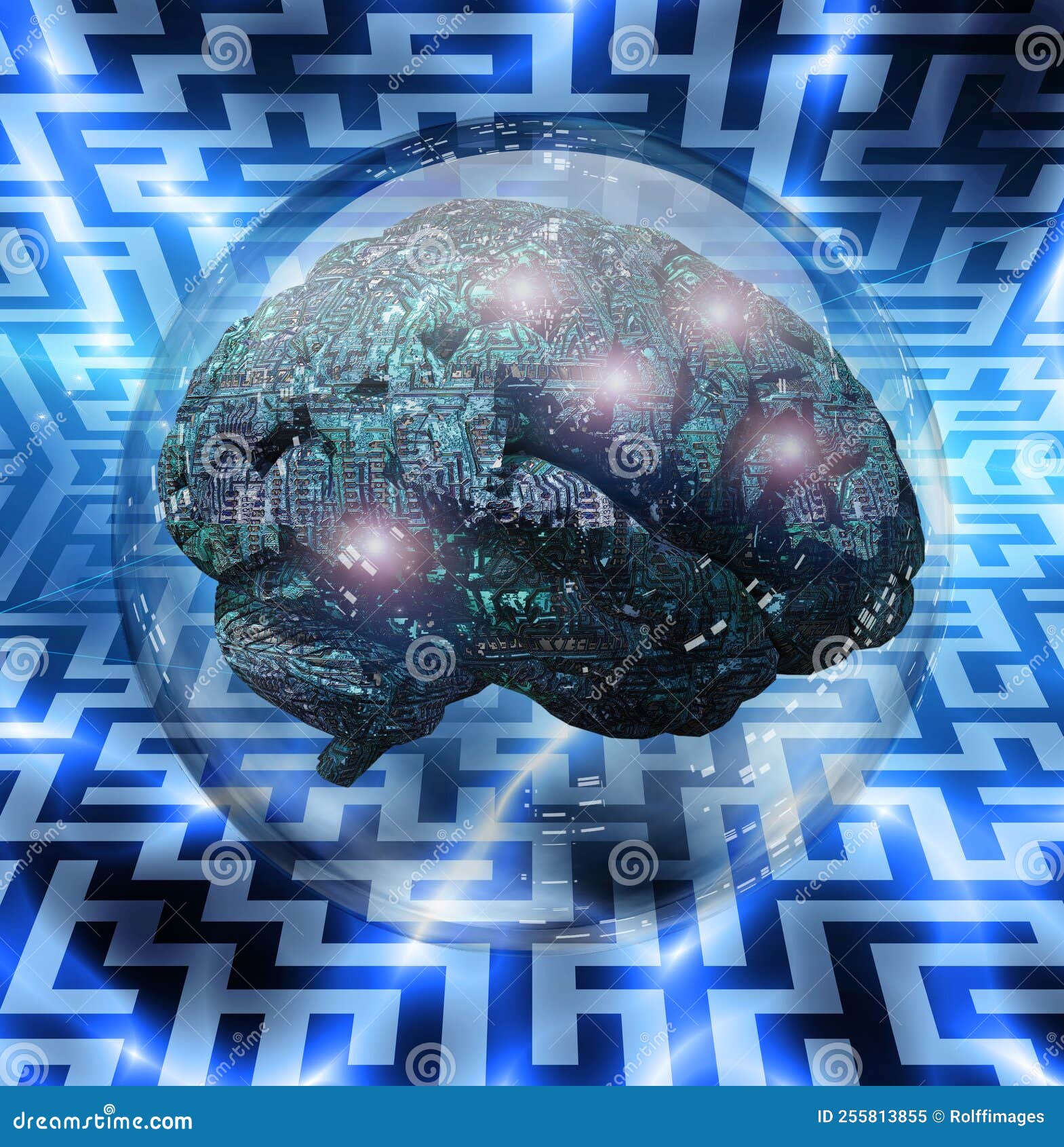 Human Brain Inside Crystal Sphere Stock Illustration - Illustration of ...
