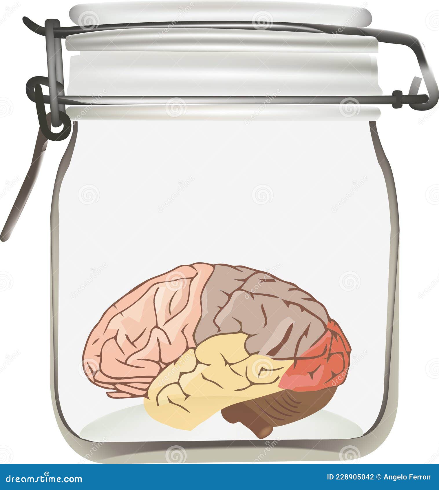 Glass Jar with the Brain Glass Jar with the Brain Stock Vector ...