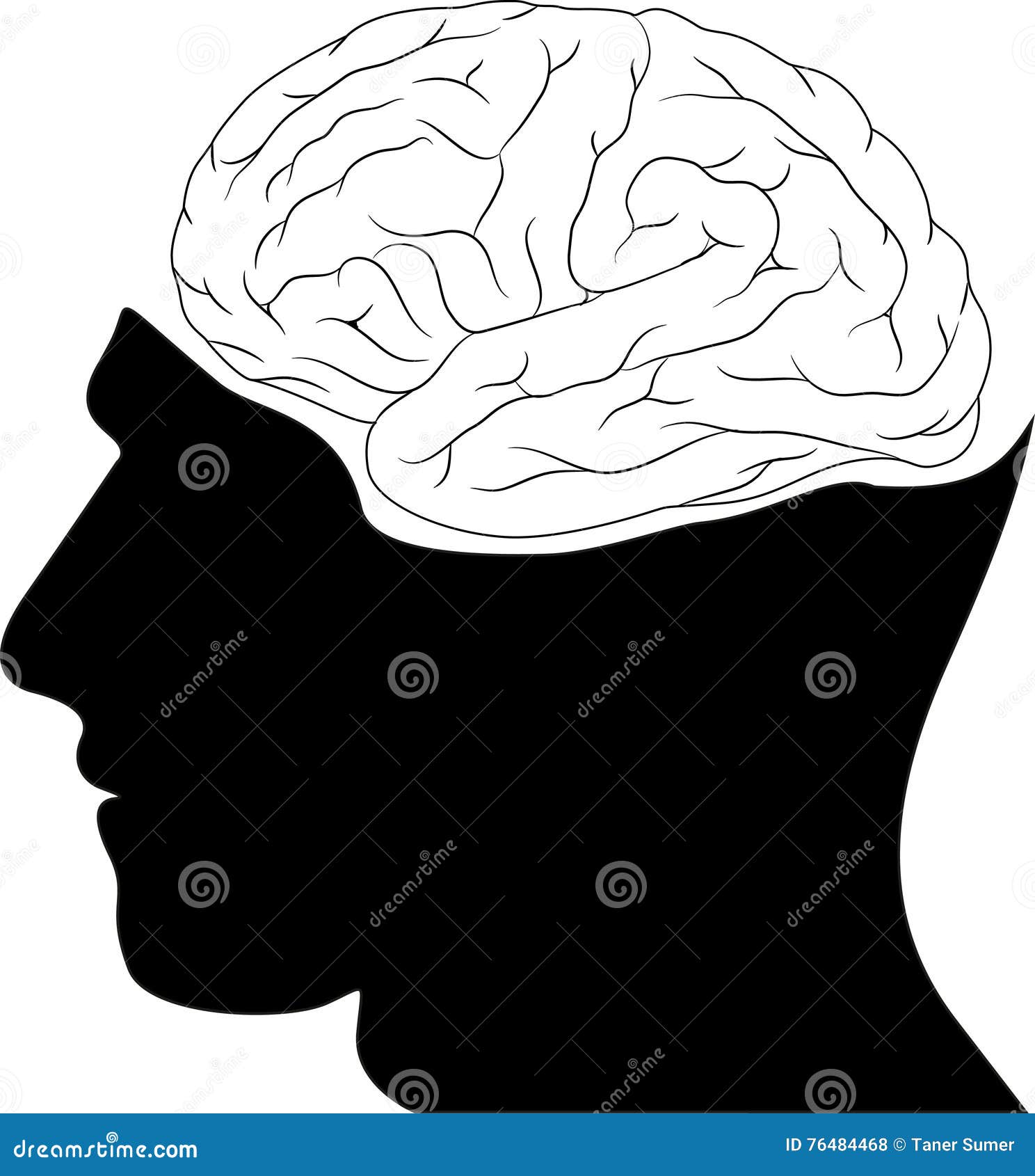 Human Brain stock vector. Illustration of examination - 76484468
