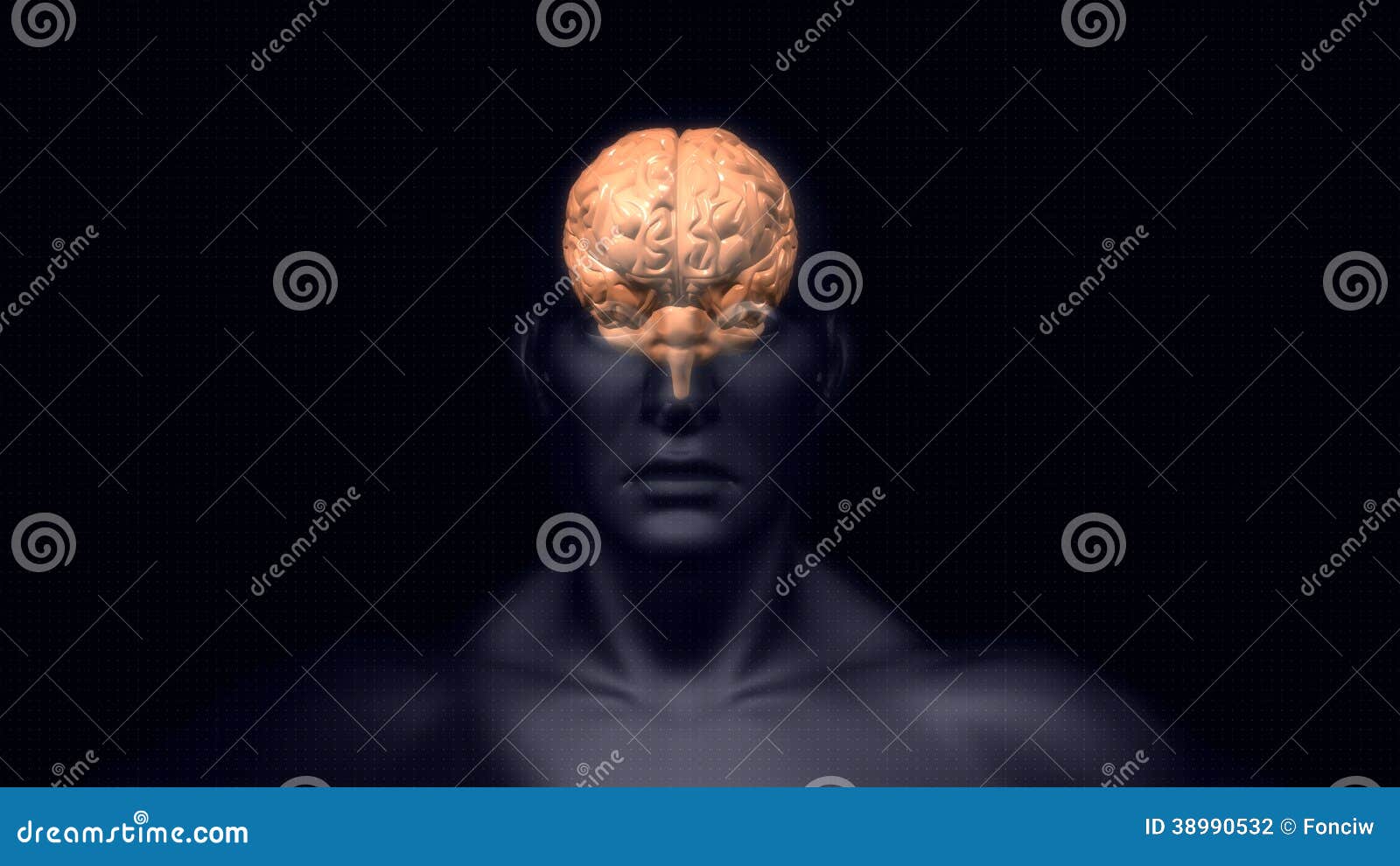 Human Brain stock illustration. Illustration of profile - 38990532