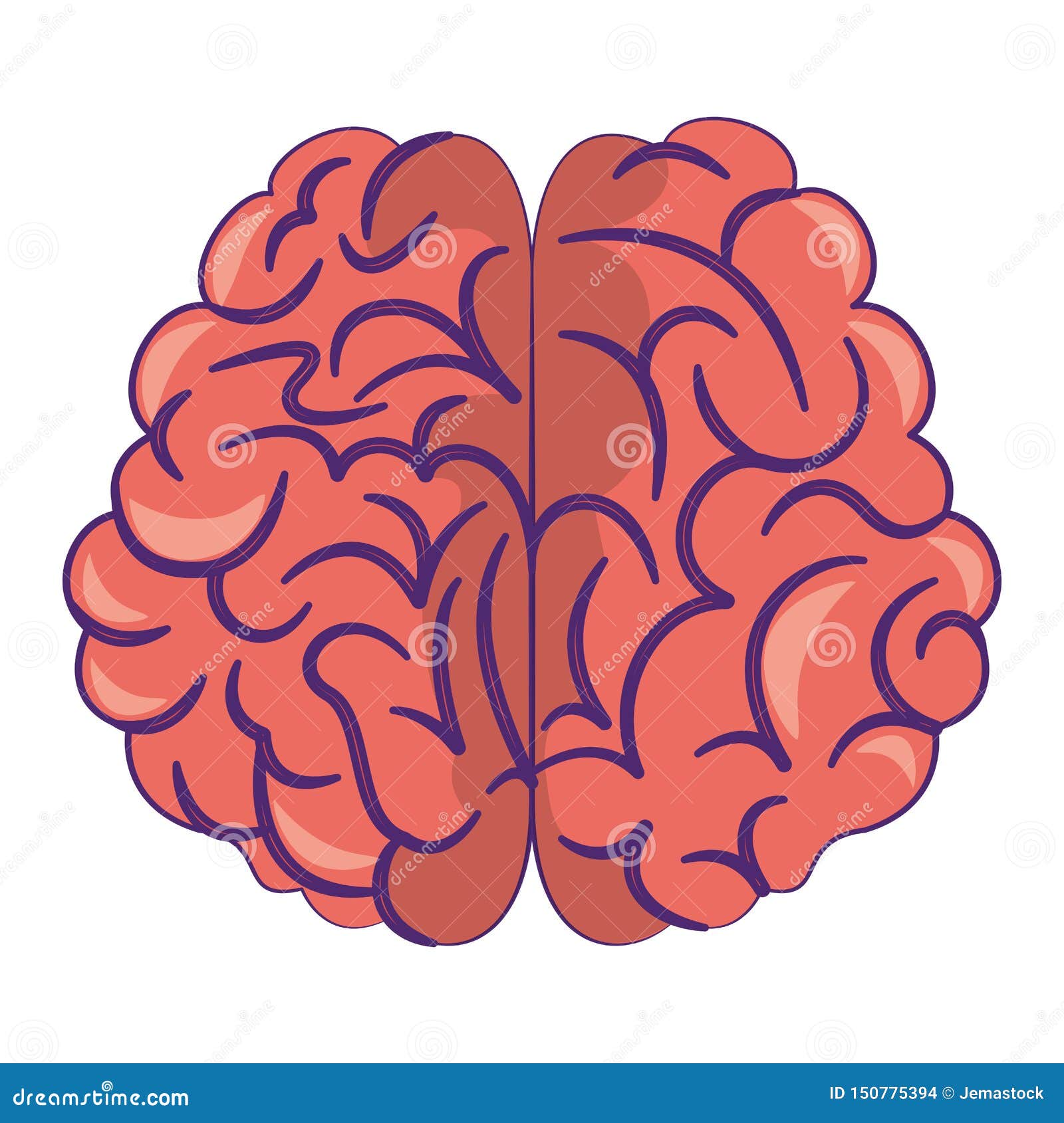 Human Brain Intelligence Symbol Cartoon Isolated Stock Vector ...