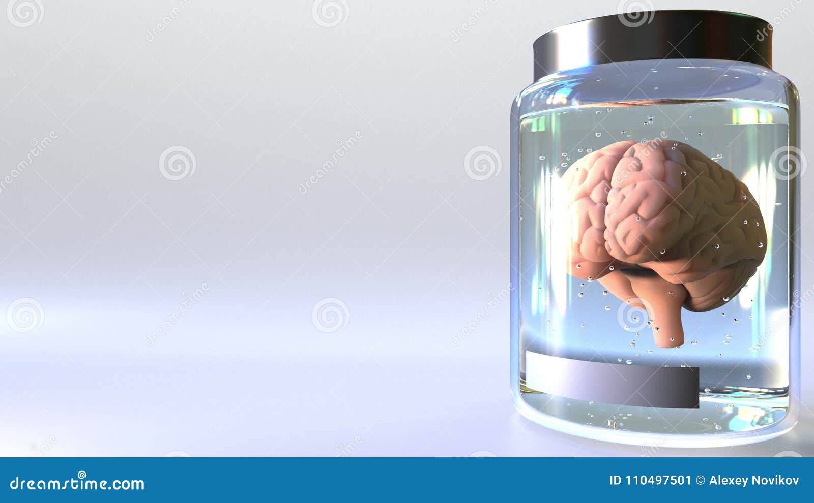 Human brain in a jar stock video. Video of memory, brain - 110497501