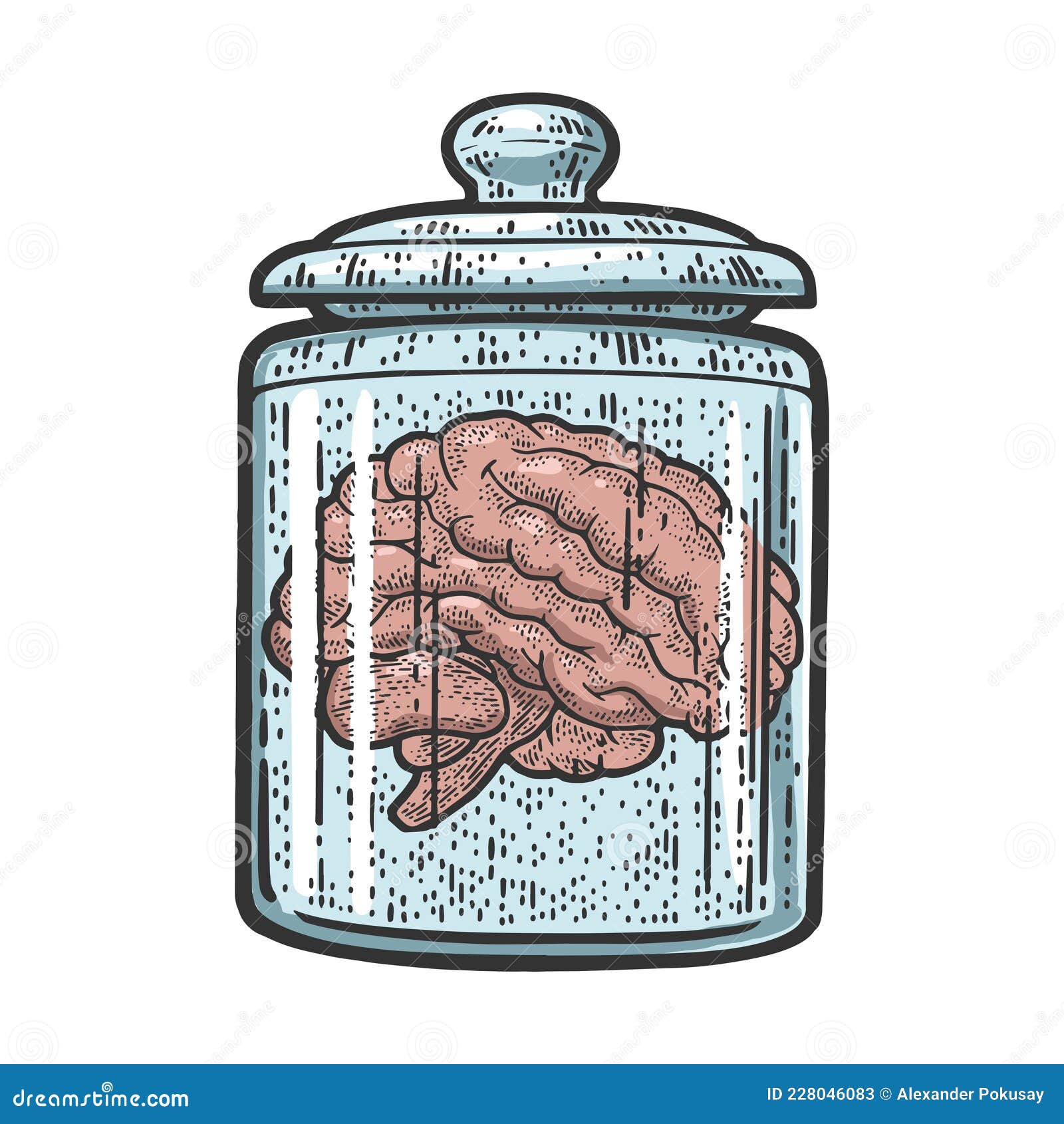 Human Brain In Jar Sketch Vector Illustration Stock Vector Illustration Of Formalin Body