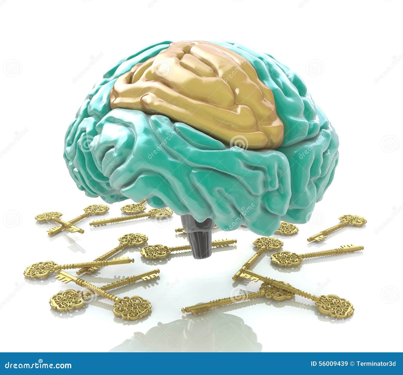 Human brain and keys stock illustration. Illustration of concentration ...