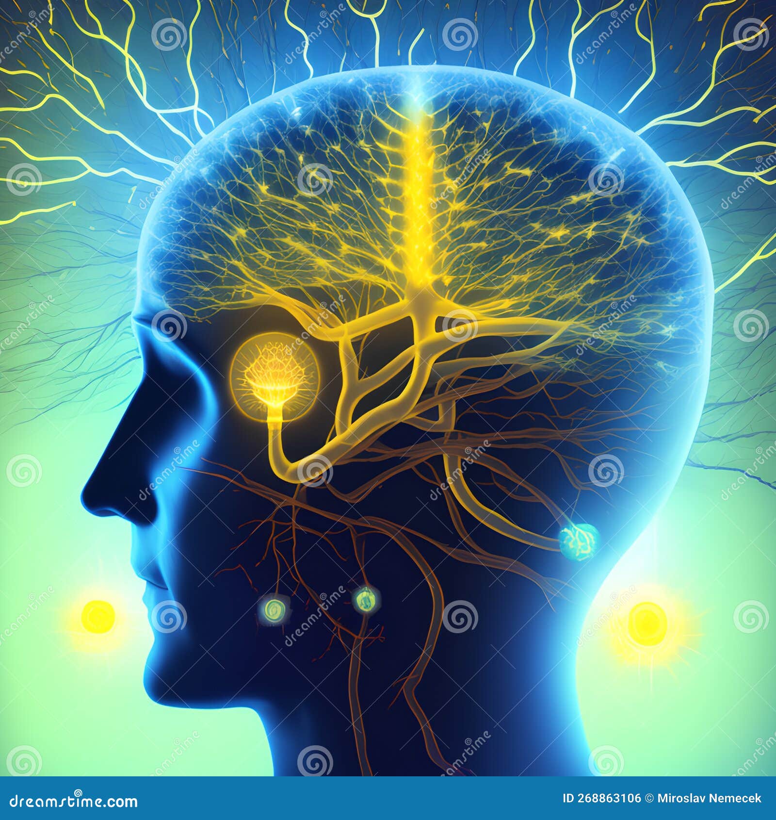 Brain And Knowledge While Discovering New Ideas Stock Photography ...