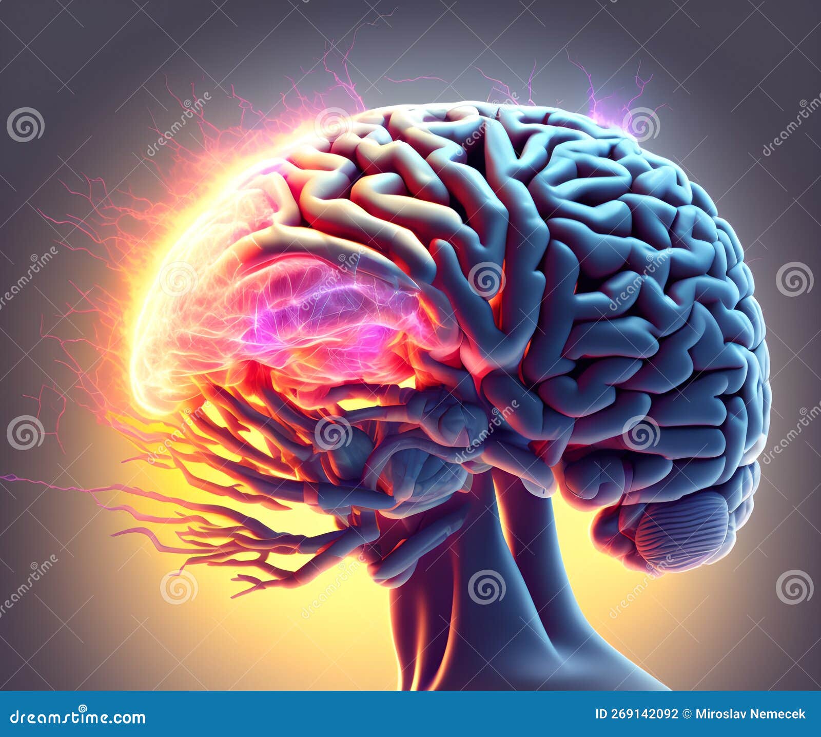 Brain And Knowledge While Discovering New Ideas Royalty-Free Stock ...