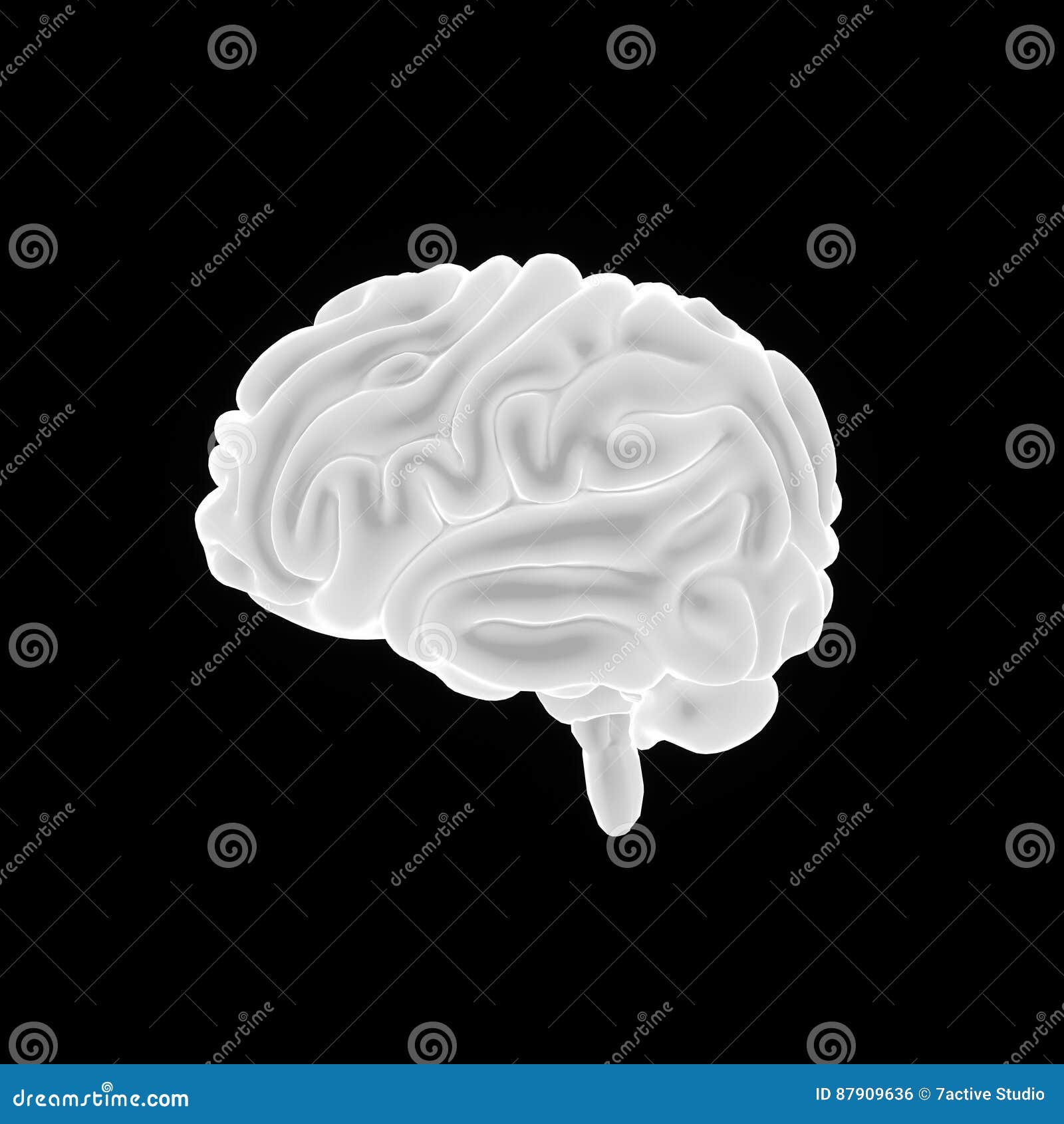 Human Brain lateral view stock illustration. Illustration of biology ...