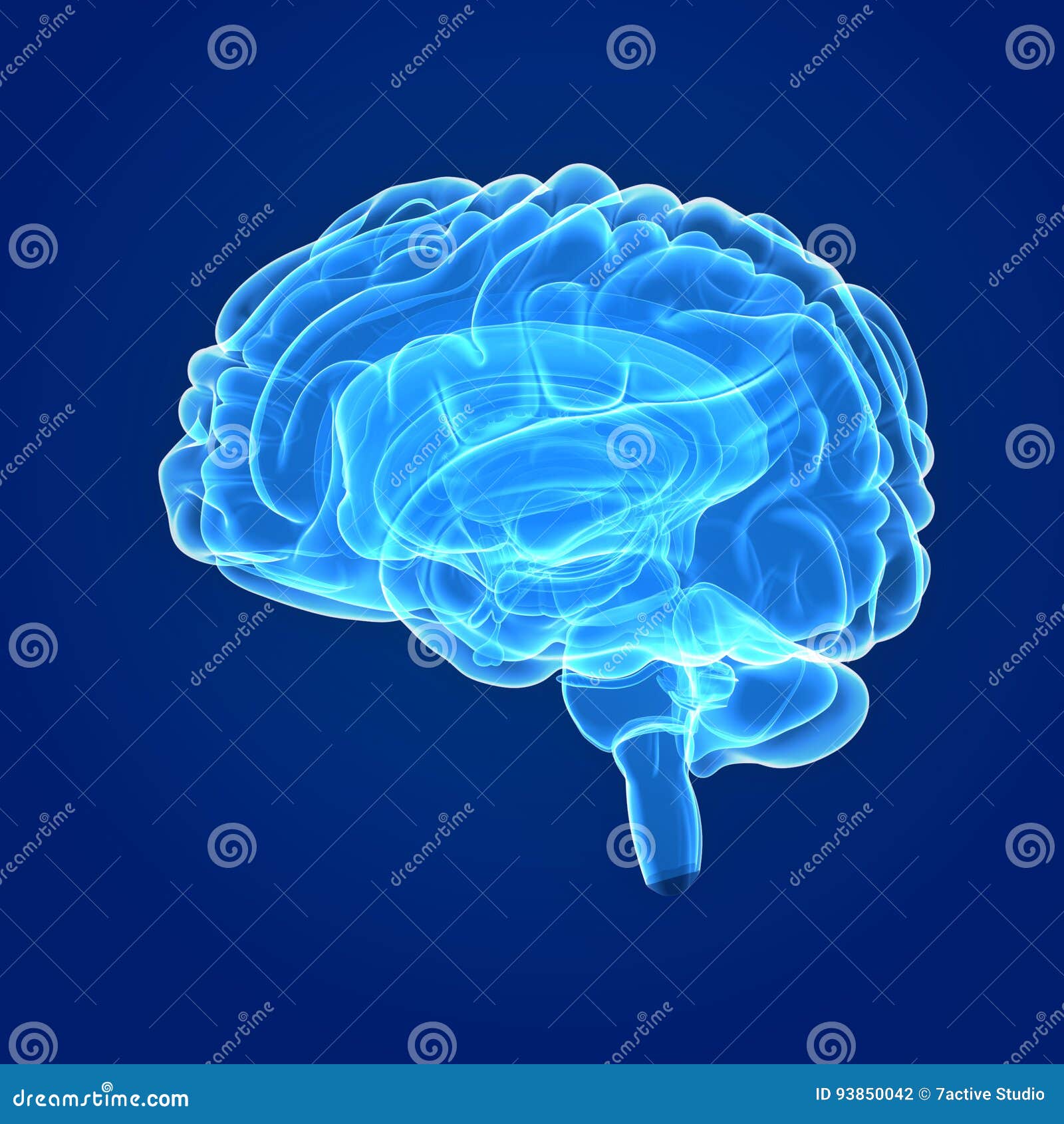 Human Brain lateral view stock illustration. Illustration of intellect ...