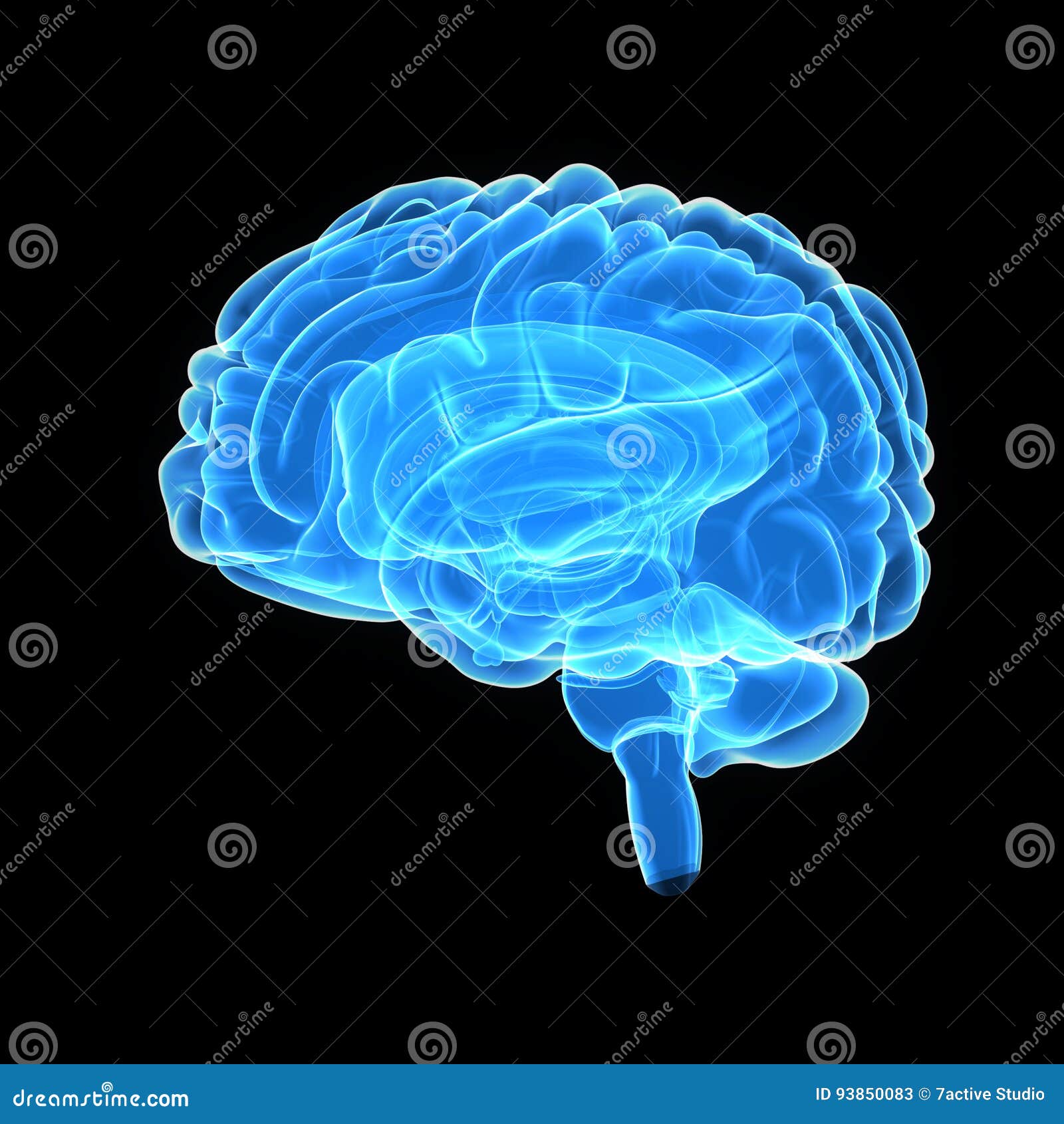 Human Brain lateral view stock illustration. Illustration of artery ...