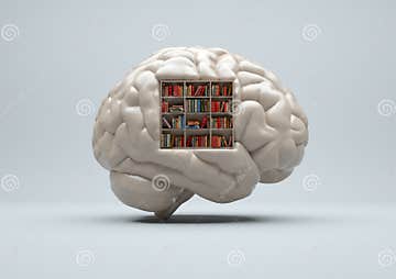 Human Brain with a Library Inside and Books Stock Illustration ...