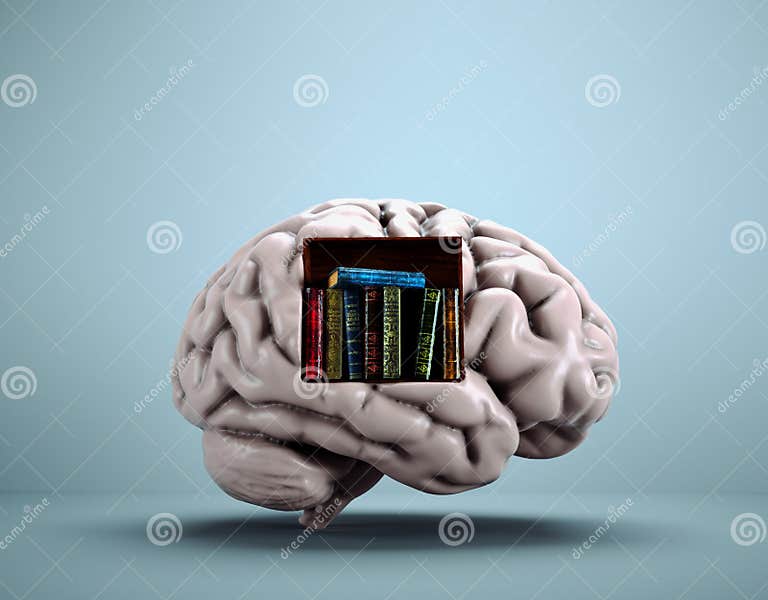 Human Brain with a Library Inside and Books Stock Illustration ...